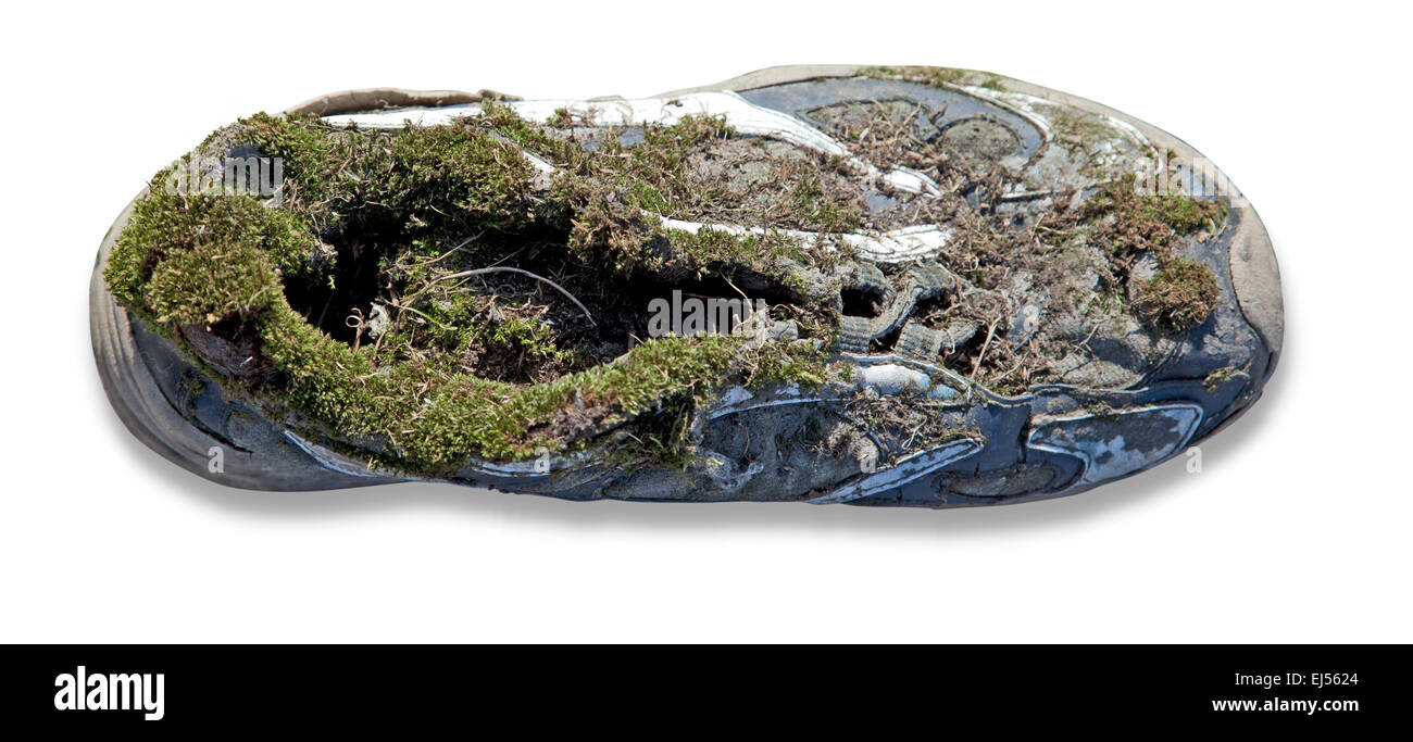 Covered with moss shoes on a white background Stock Photo - Alamy