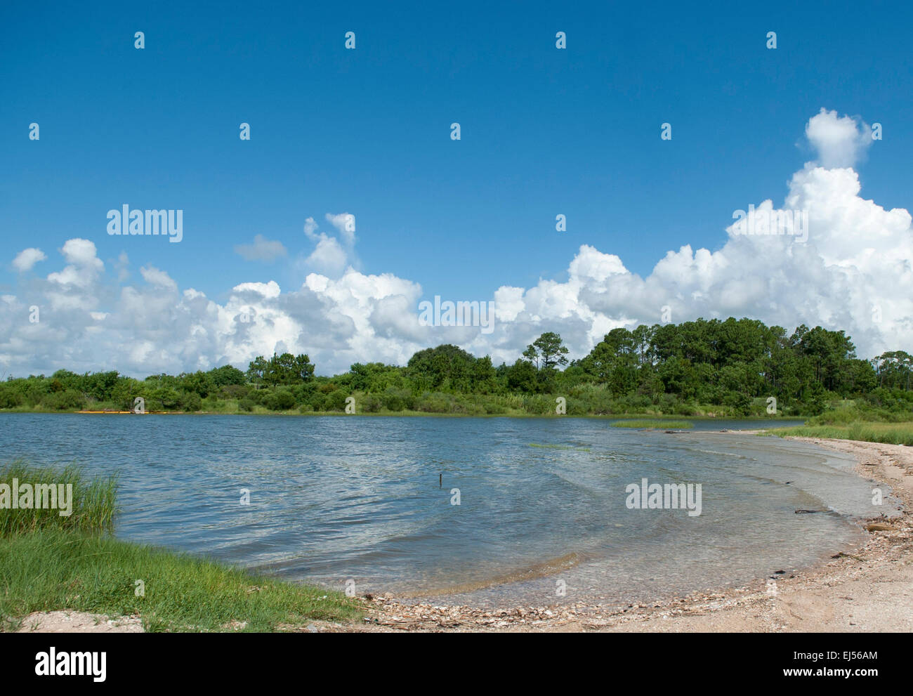 View of Alabama Shoreline along Mobile Bay Stock Photo - Alamy