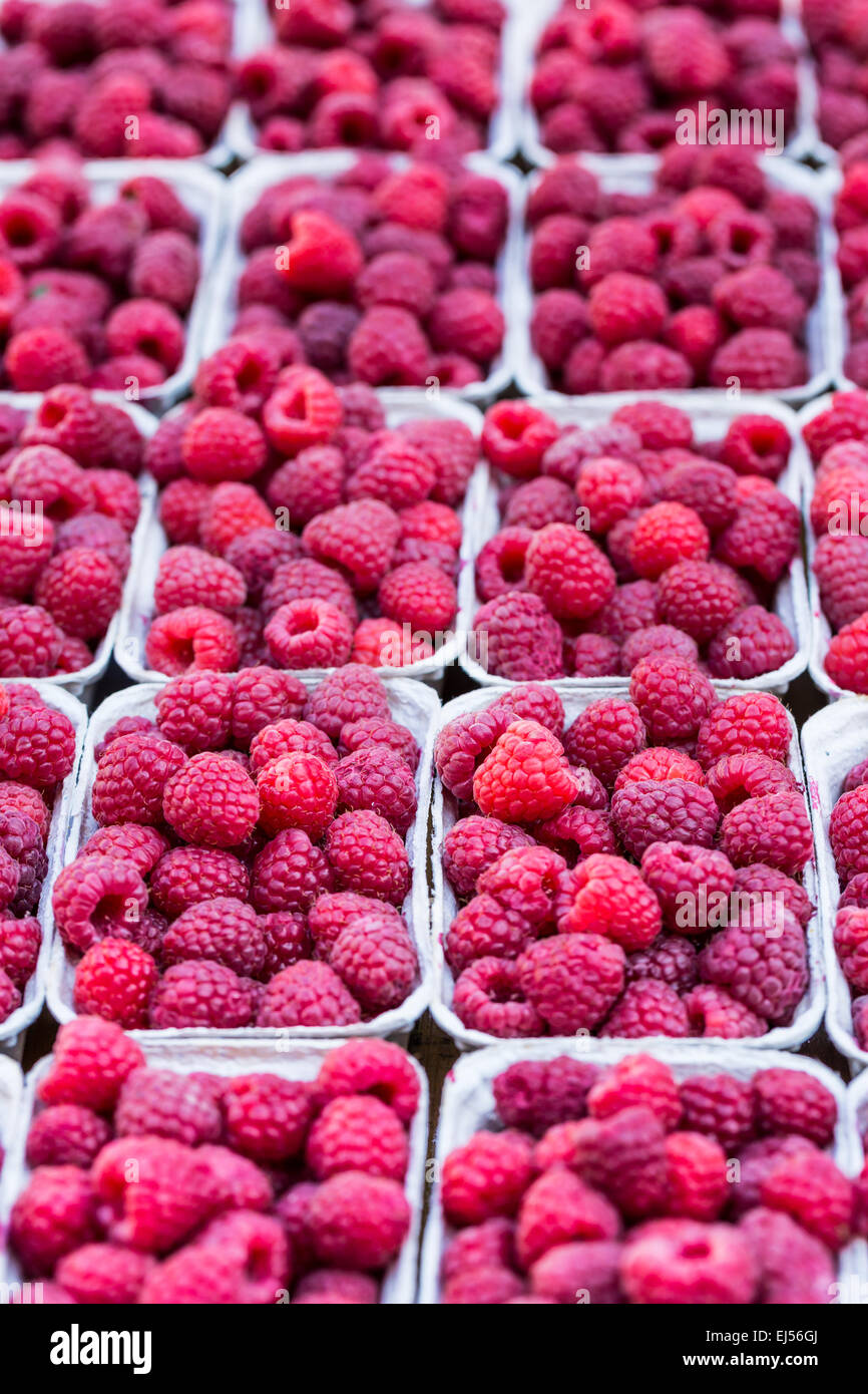 Red raspberries in boxes at local farm market Stock Photo - Alamy