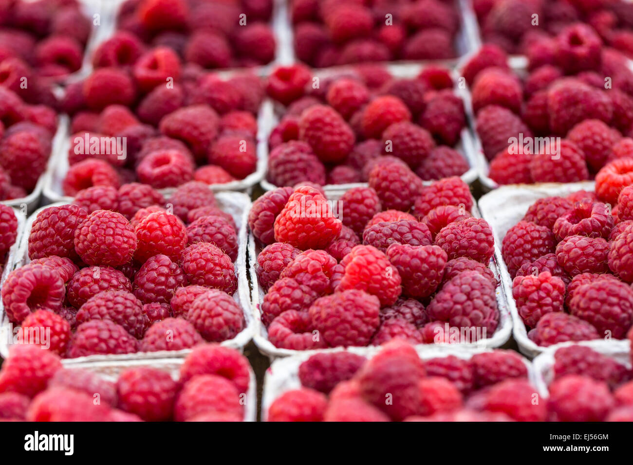 Red raspberries in boxes at local farm market Stock Photo - Alamy