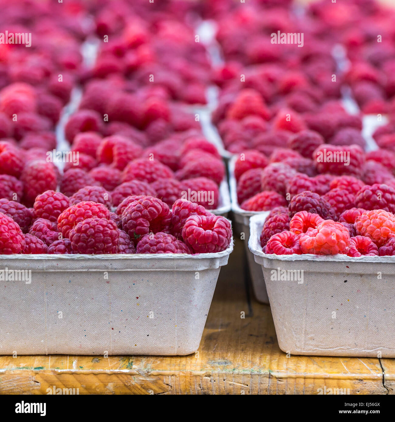 Red raspberries in boxes at local farm market Stock Photo - Alamy