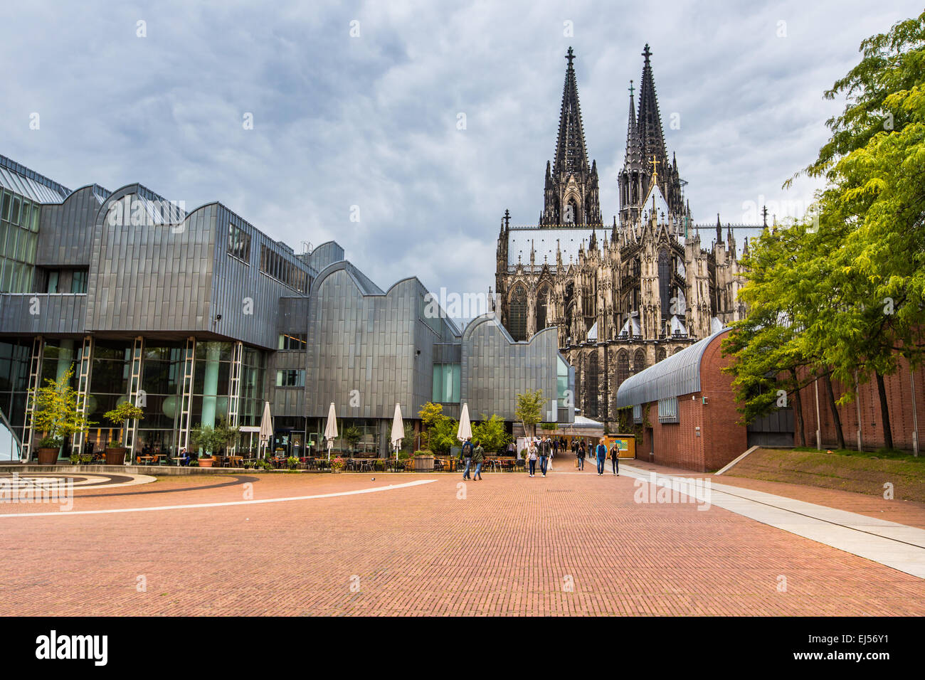 The cathedral of Cologne. Detail from facade Stock Photo - Alamy