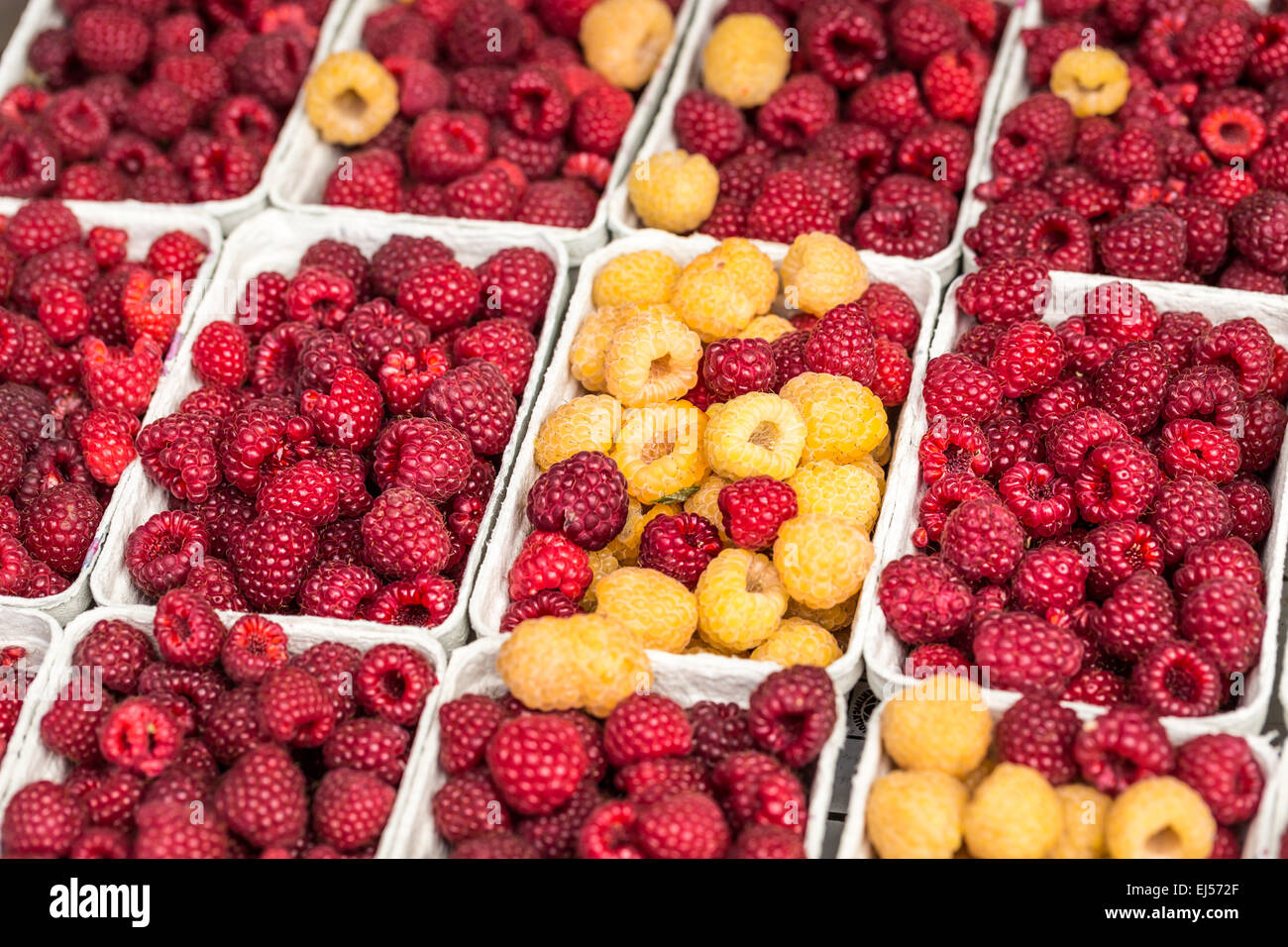 Red and yellow raspberries in boxes at local farm market Stock Photo ...