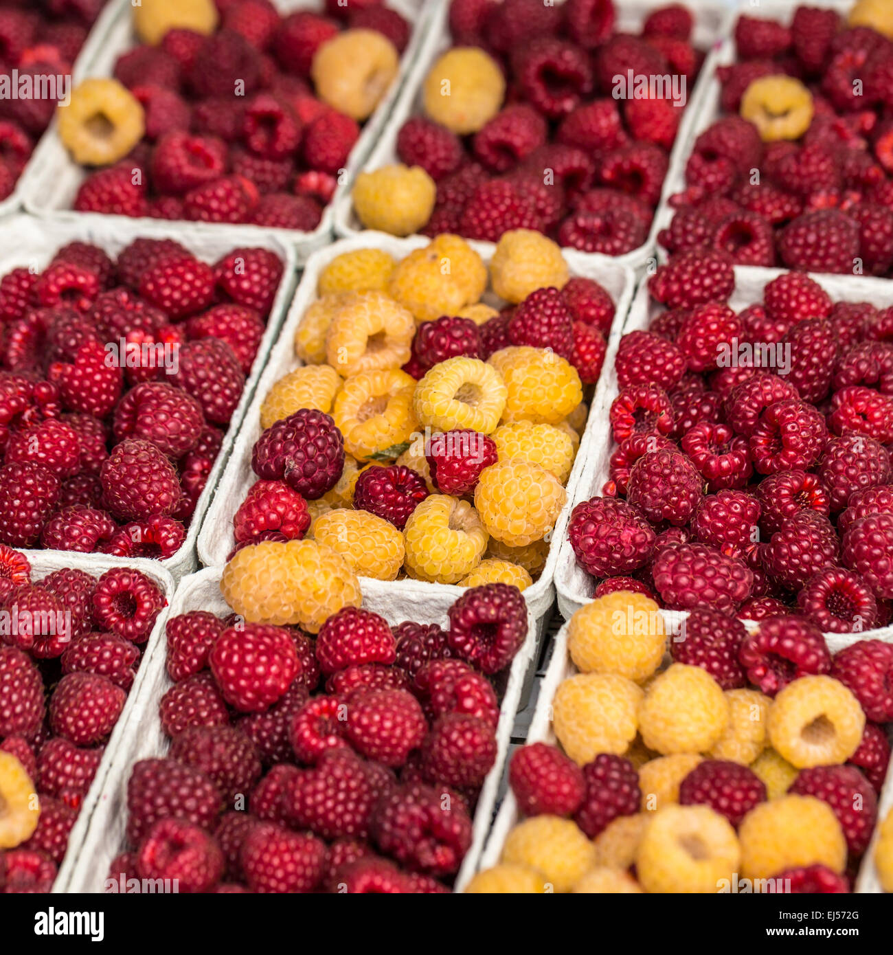 Red and yellow raspberries in boxes at local farm market Stock Photo ...