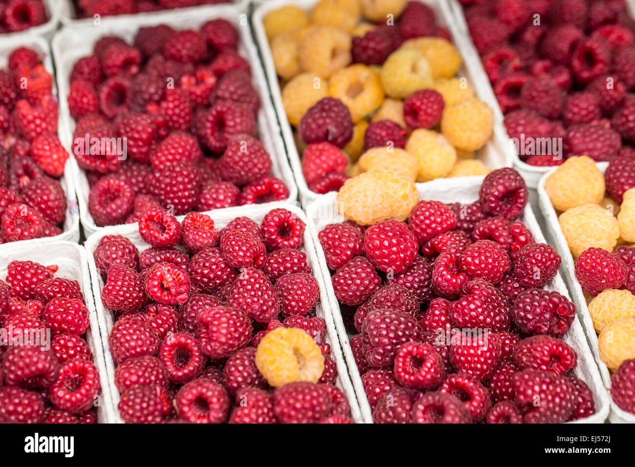 Red and yellow raspberries in boxes at local farm market Stock Photo ...