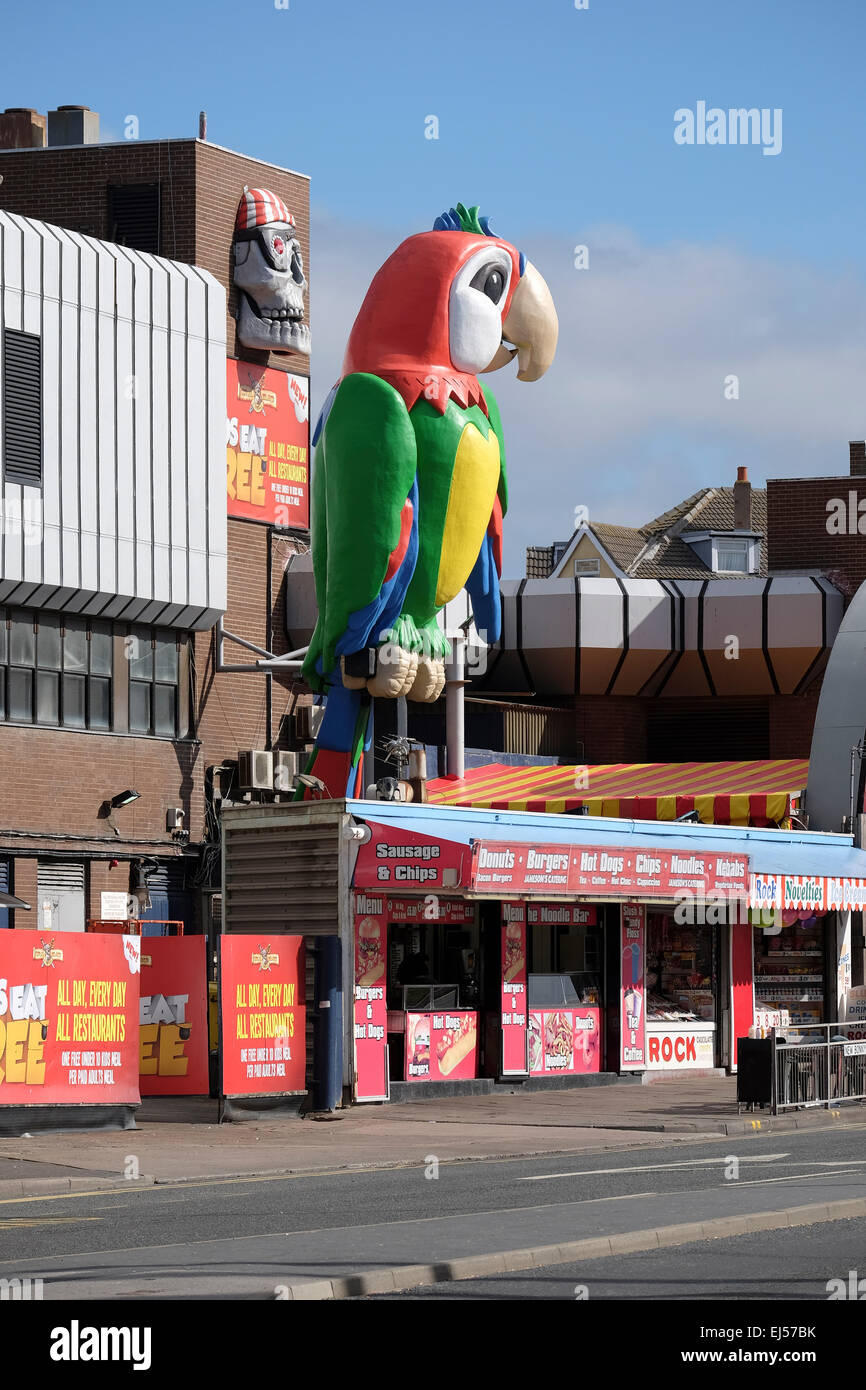 Blackpool, Lancashire, UK: Colorful Parrot on Blackpool street Stock ...