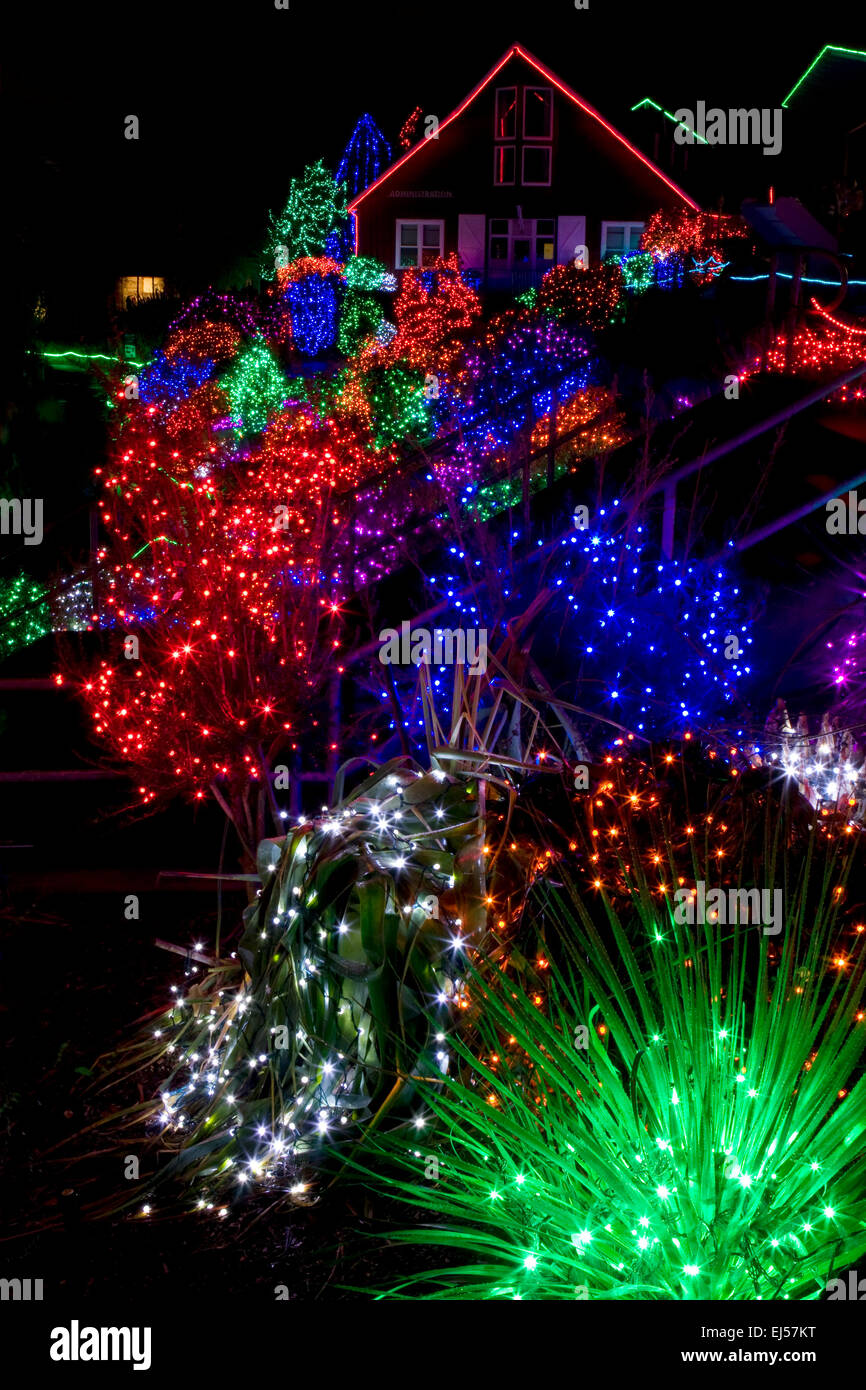 Zoolights at the Point Defiance Zoo in Tacoma, Washington Stock Photo ...