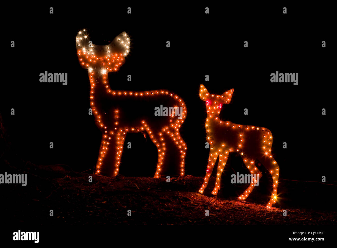 A reindeer display during Zoolights at Point Defiance Zoo in Tacoma ...