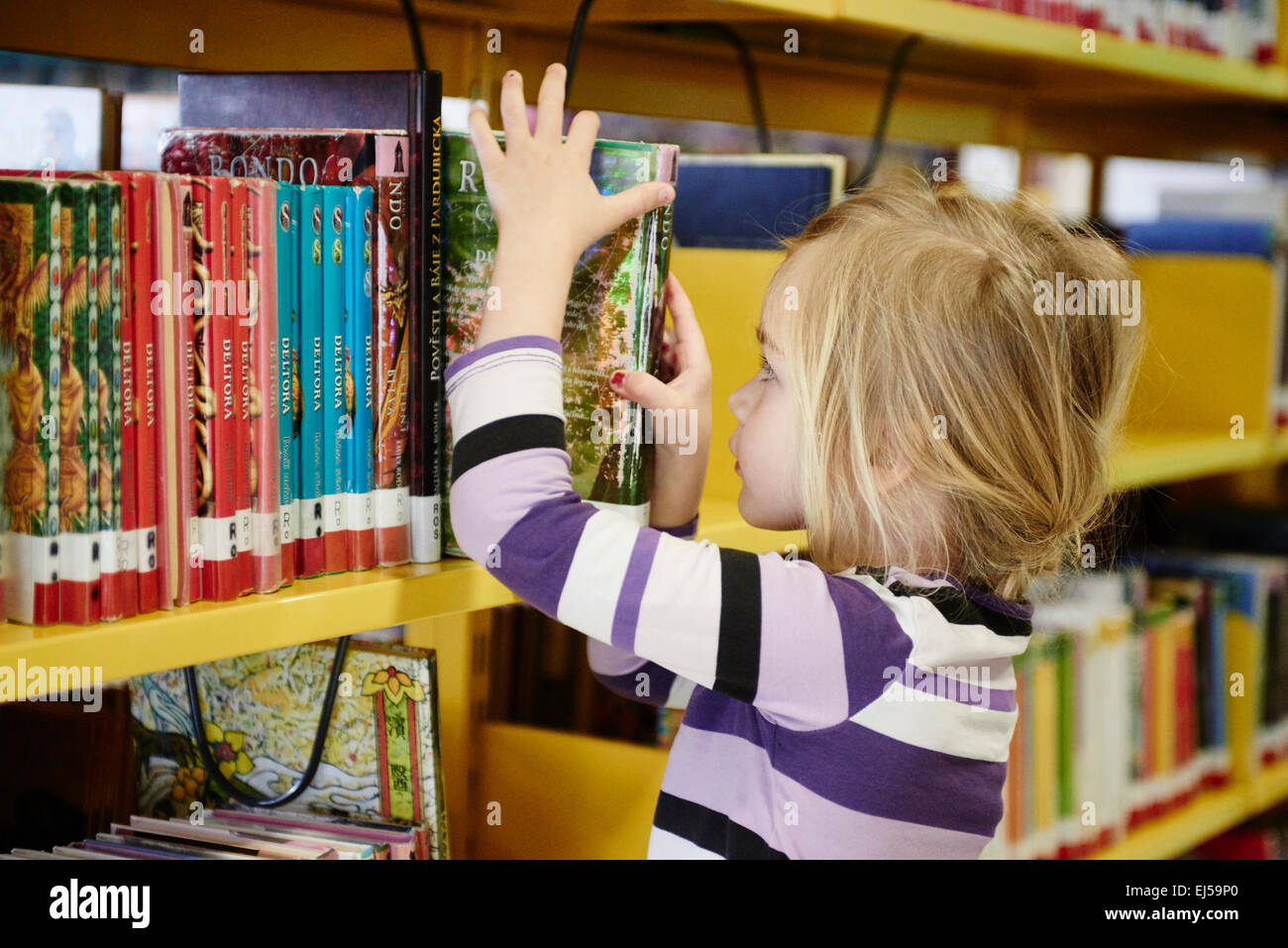 Caucasian child blond girl looking and choosing Children's books on ...