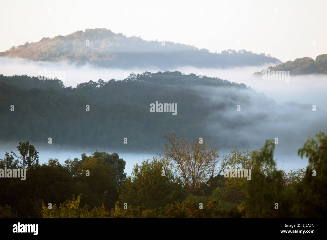 Marine layer surrounds mountains in fog and clouds, Oak View ...