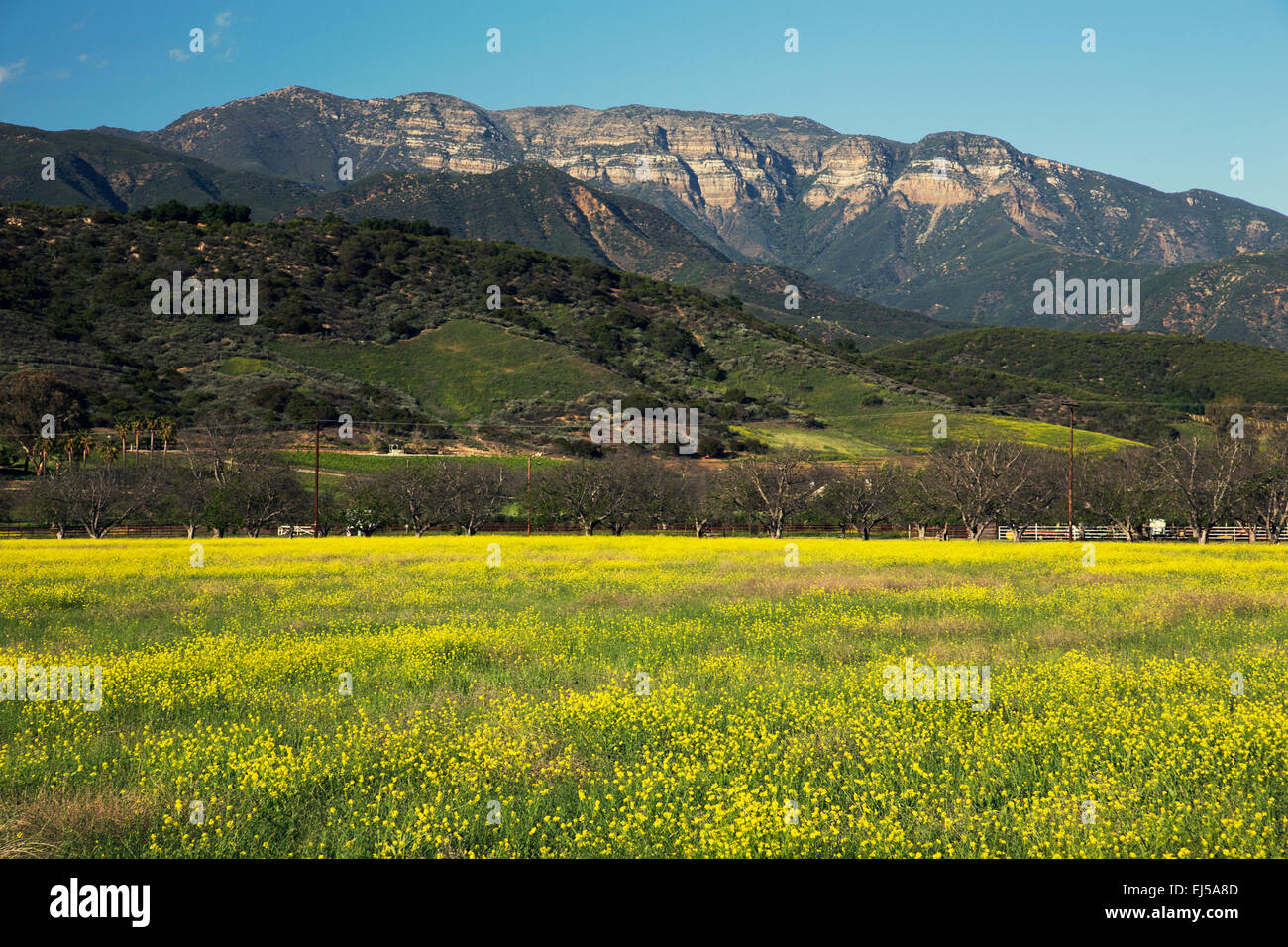Topatopa mountains hi-res stock photography and images - Alamy