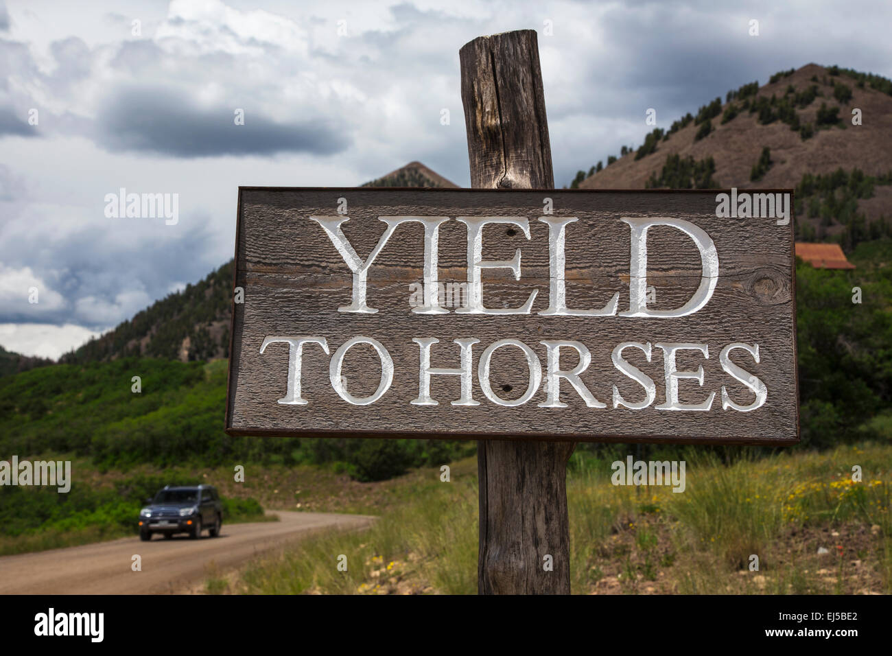 Yield road sign hi-res stock photography and images - Alamy