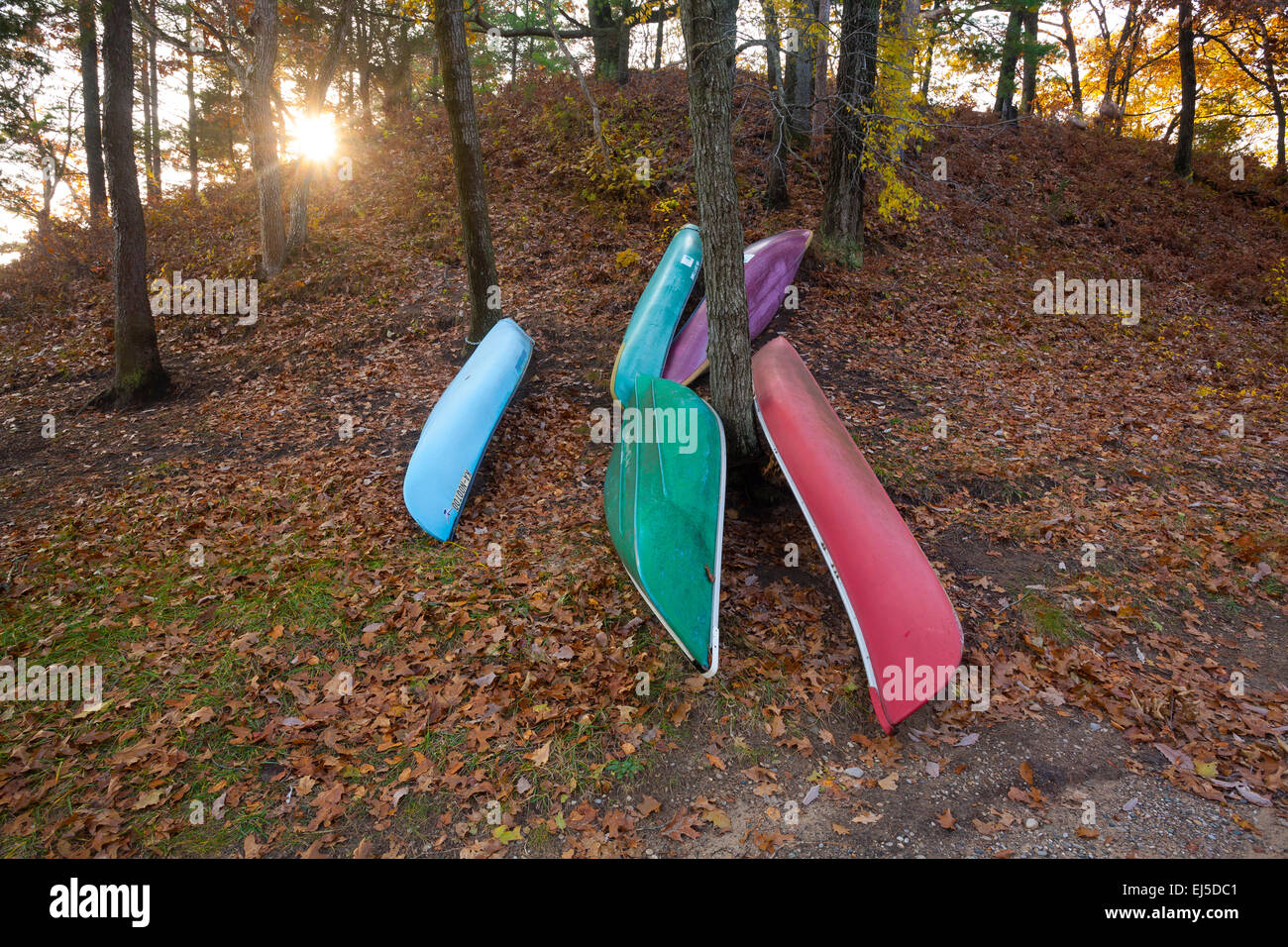 Colourful canoes resting on a leave covered hill with the late day sun ...
