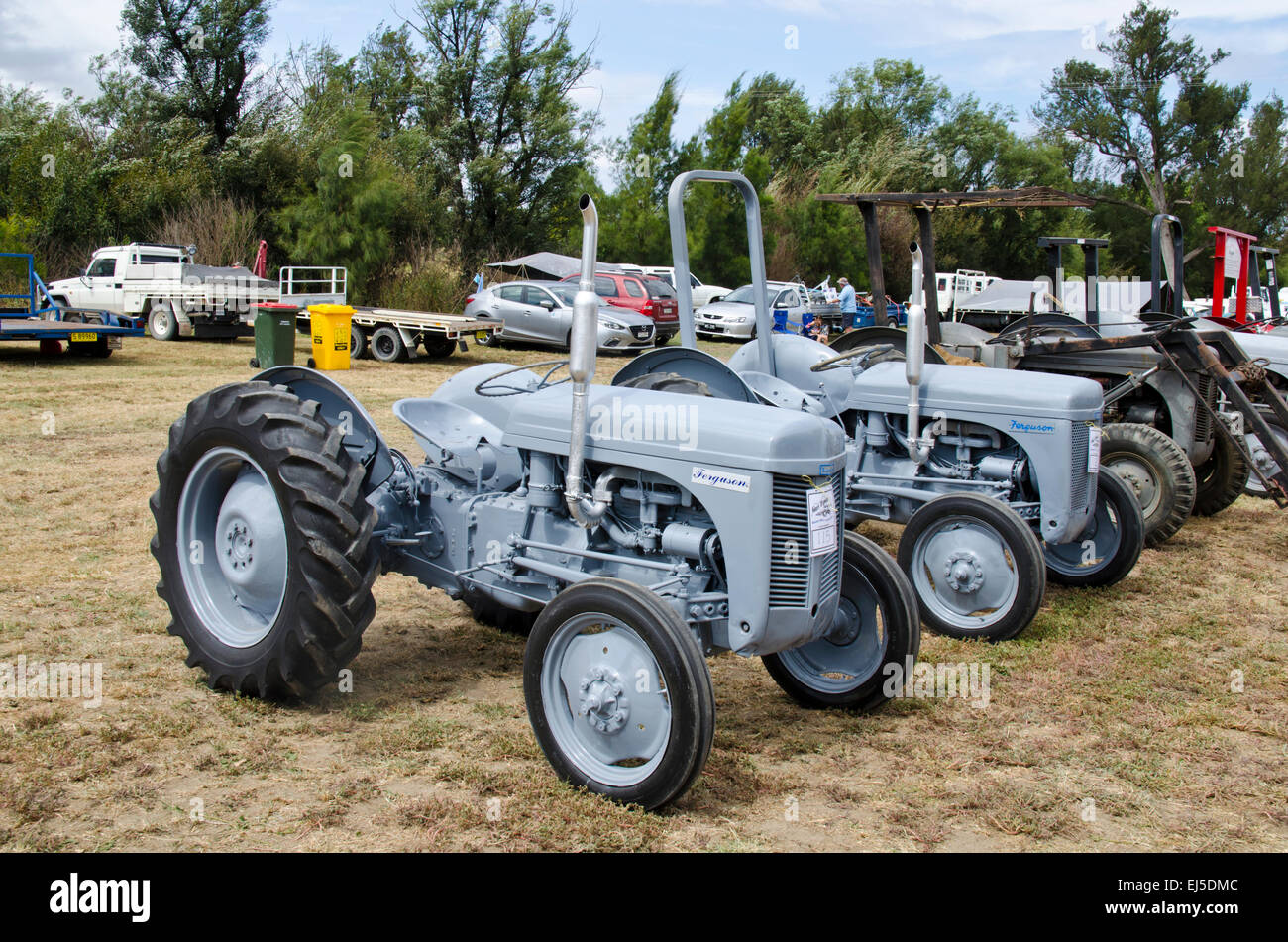 Restored Old Grey Ferguson Tractors on display at a rural show ...