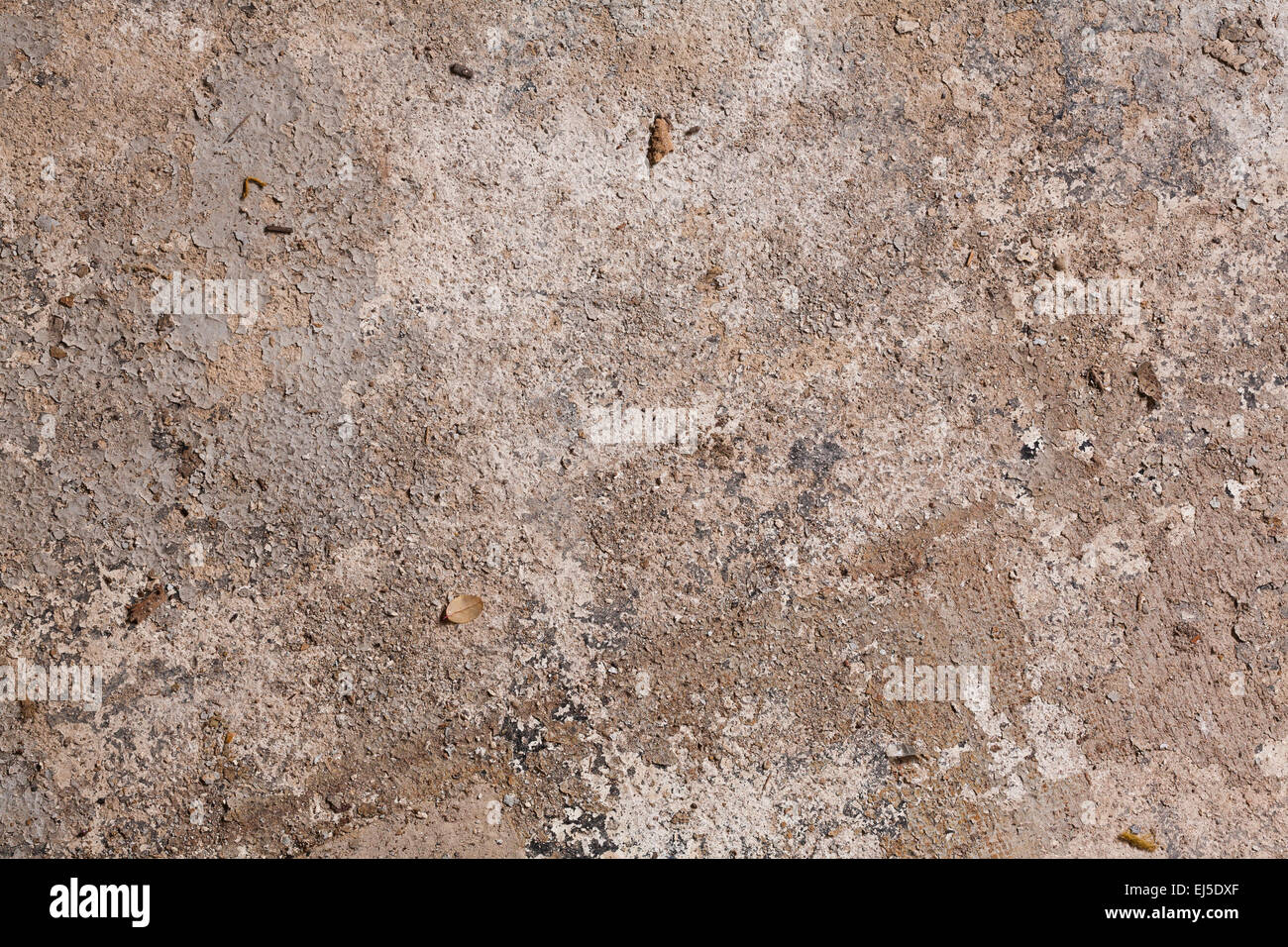 An old and worn painted concrete floor. Because of its age the paint is ...