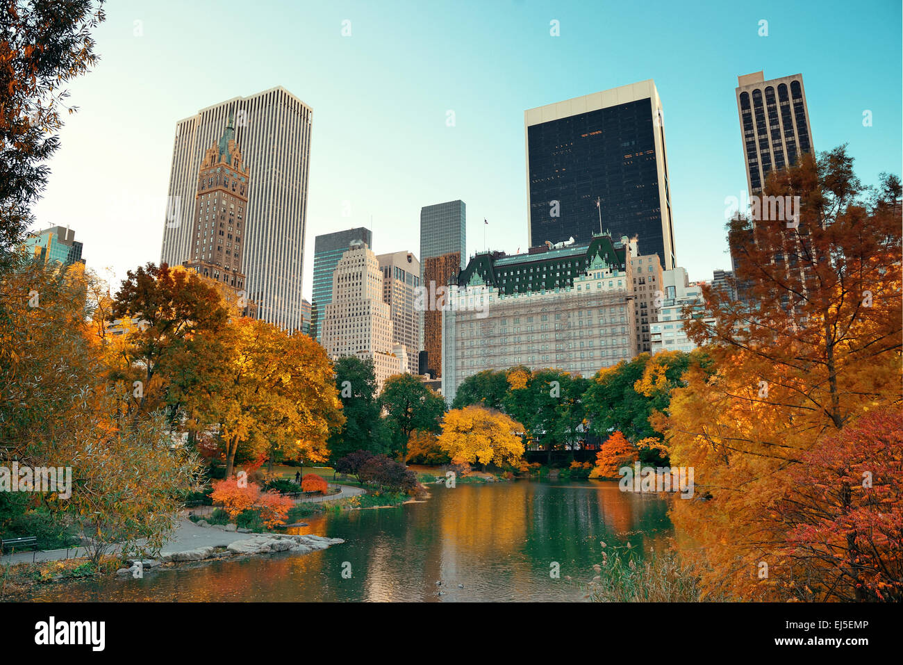 Central Park Autumn and midtown skyline in Manhattan New York City ...