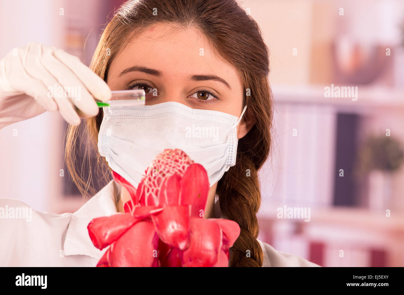 beautiful female biologist experimenting with red flower Stock Photo ...