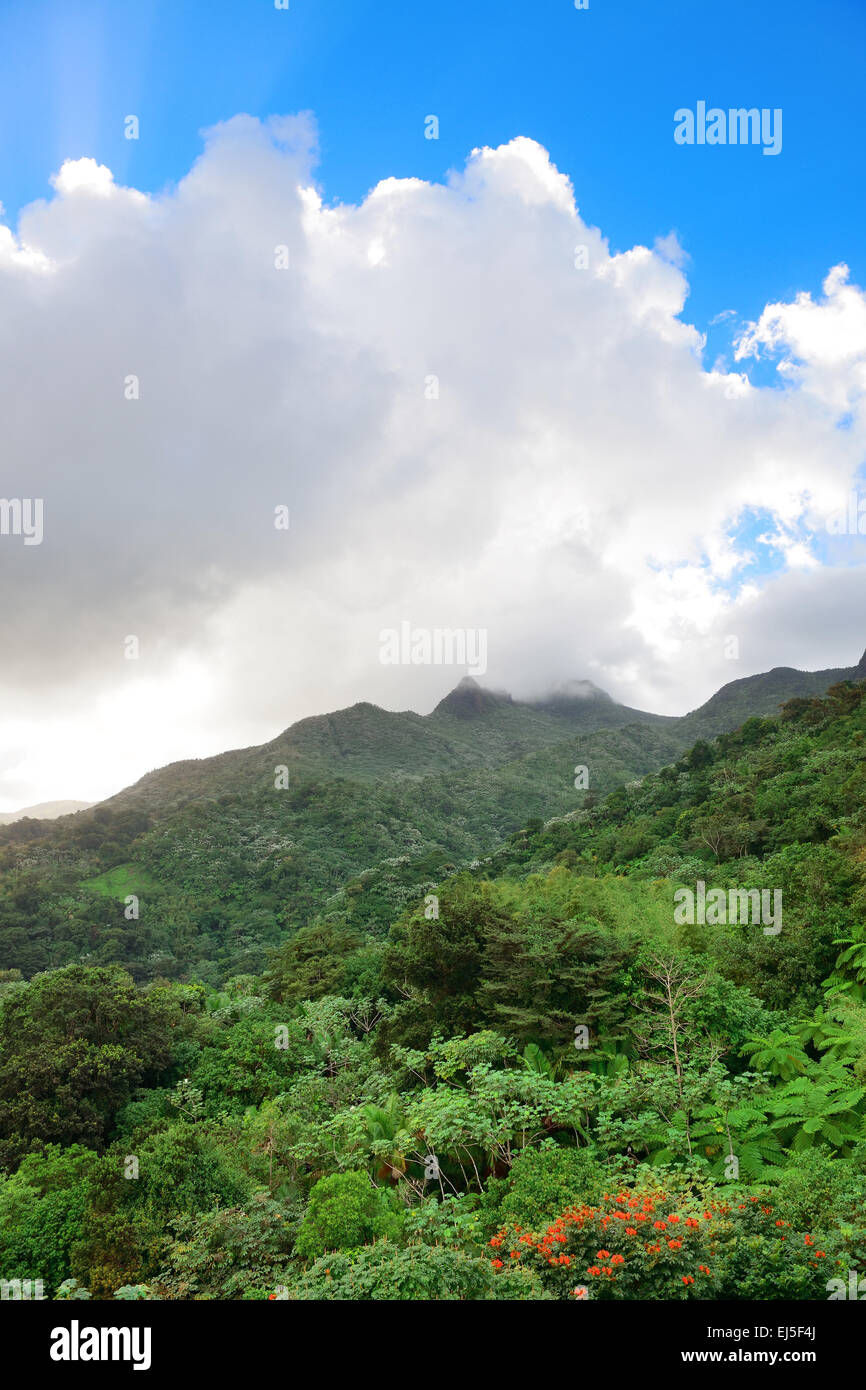 Mountain Landscape Puerto Rico High Resolution Stock Photography and ...