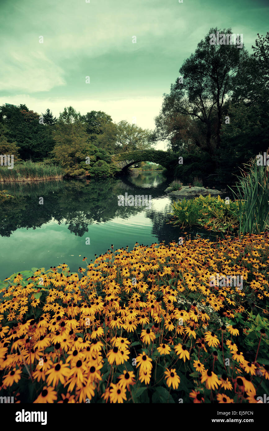 Central Park Spring with flower in midtown Manhattan New York City ...