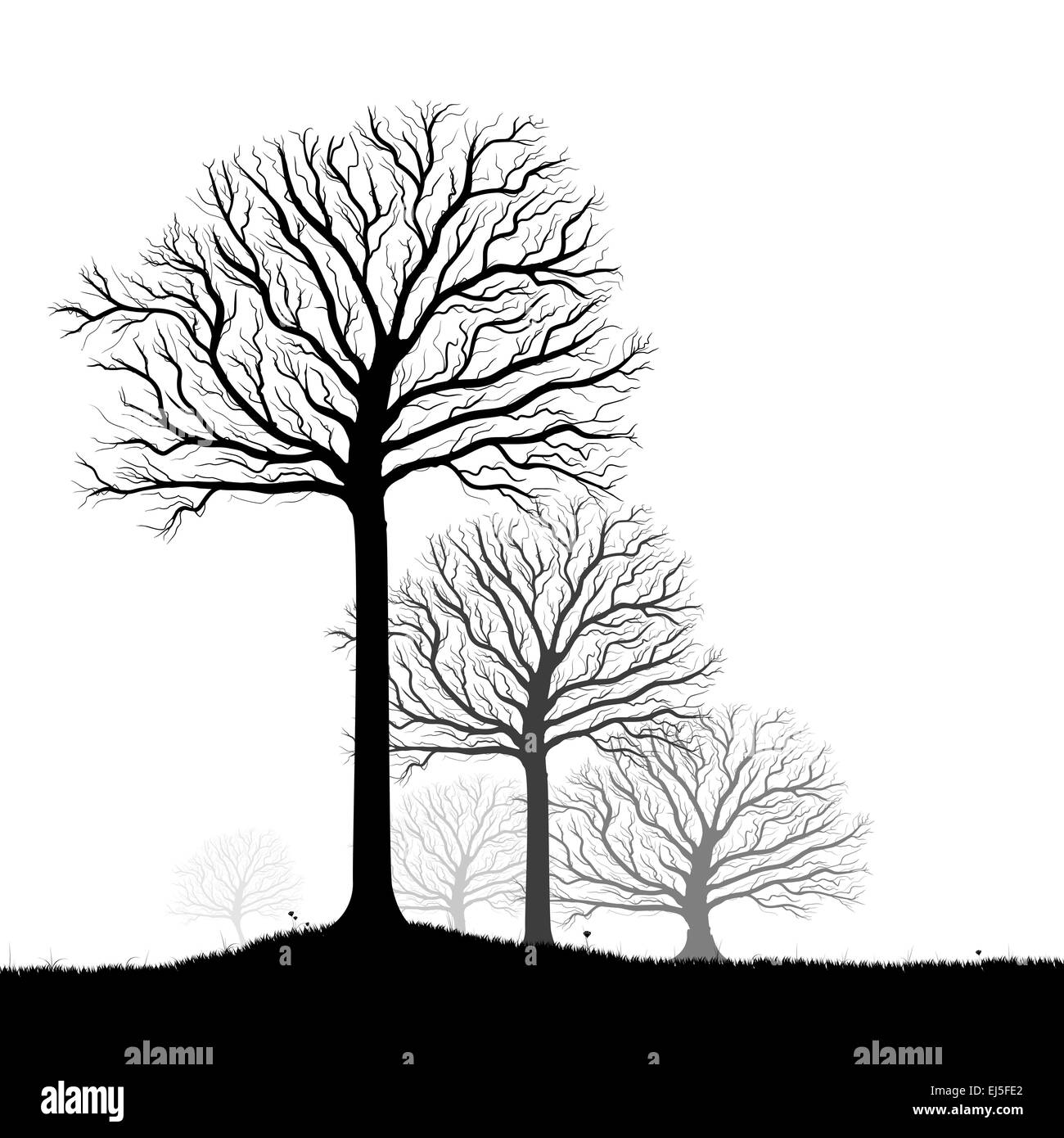 Black trees silhouettes. Vector image Stock Vector Image & Art - Alamy