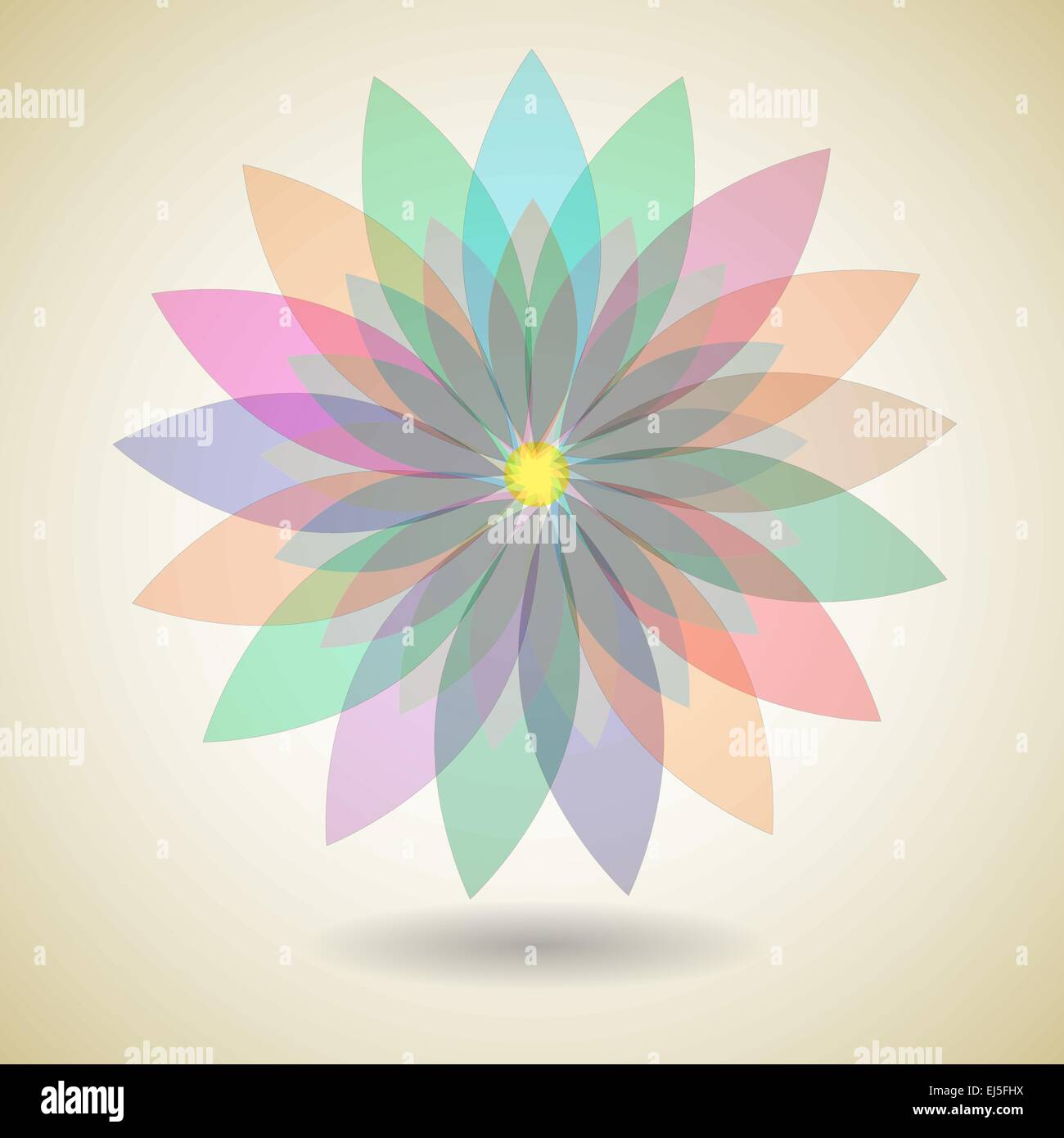 Colorful flower with shadow background, vector illustration Stock ...