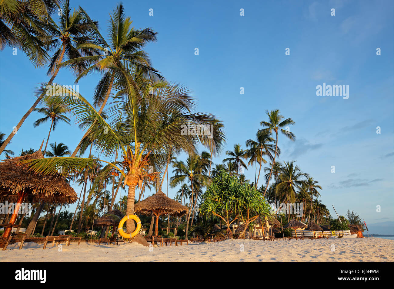 White sand and palm trees on a tropical beach of Zanzibar island Stock ...