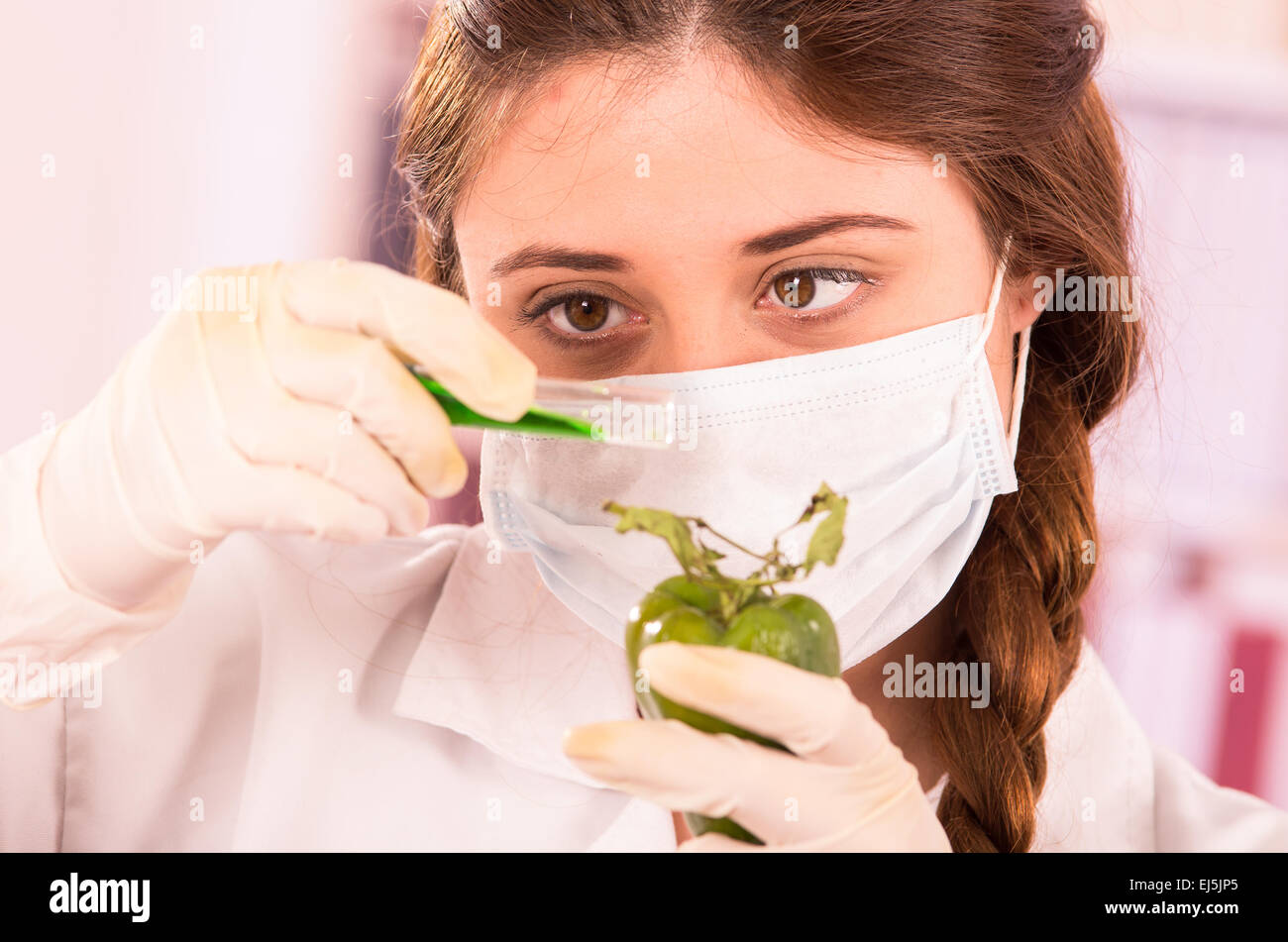 young beautiful woman biologist experimenting with green pepper Stock ...