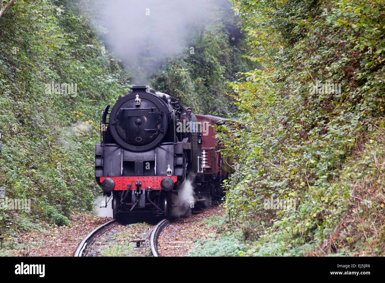 Steam locomotive pulling a freight train, Hampshire, England, UK Stock ...