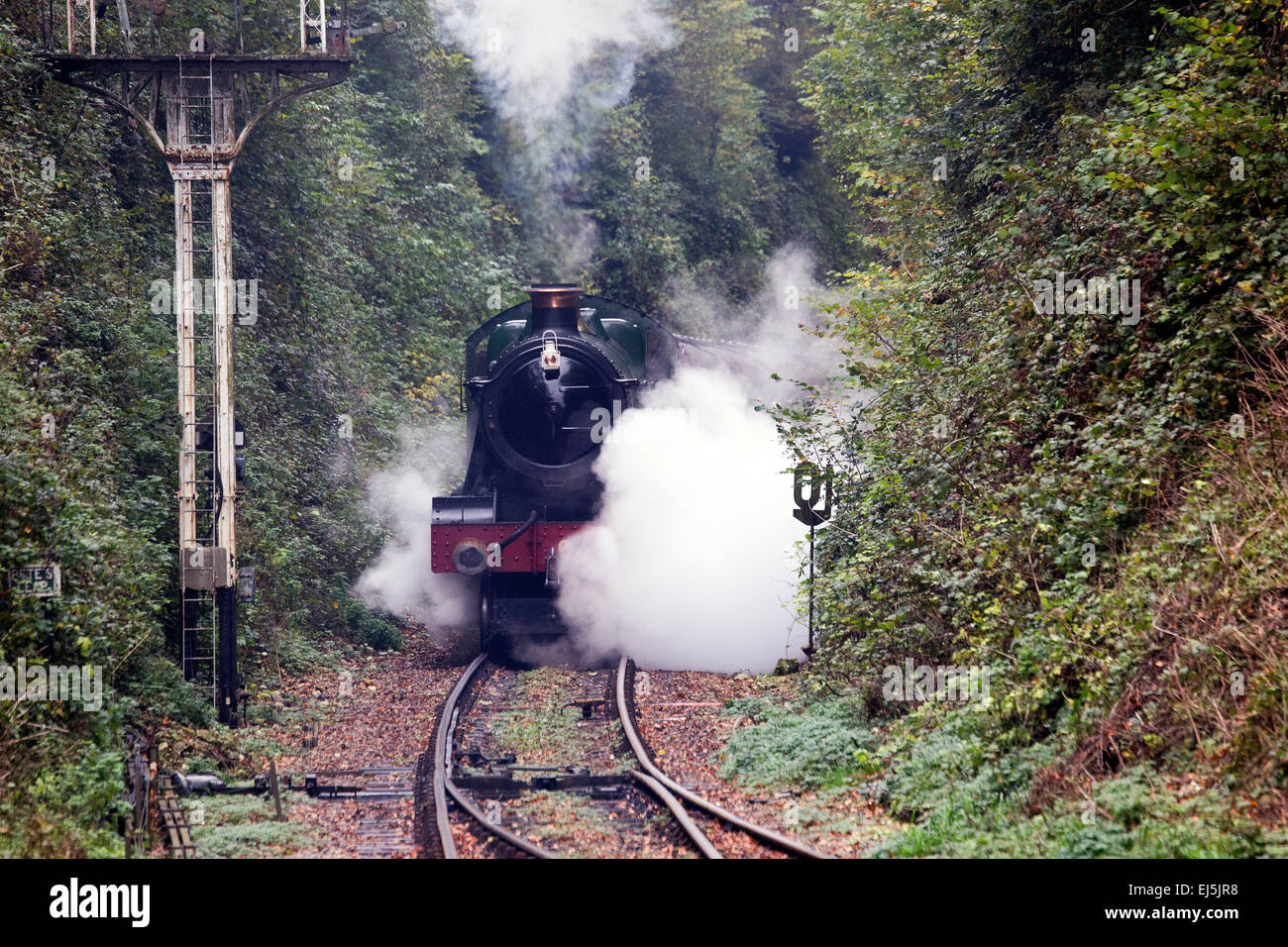 Steam locomotive pulling a passenger train, Hampshire, England, UK ...