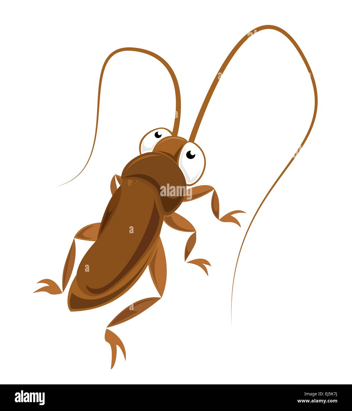 Vector illustration cartoon cockroach hi-res stock photography and ...
