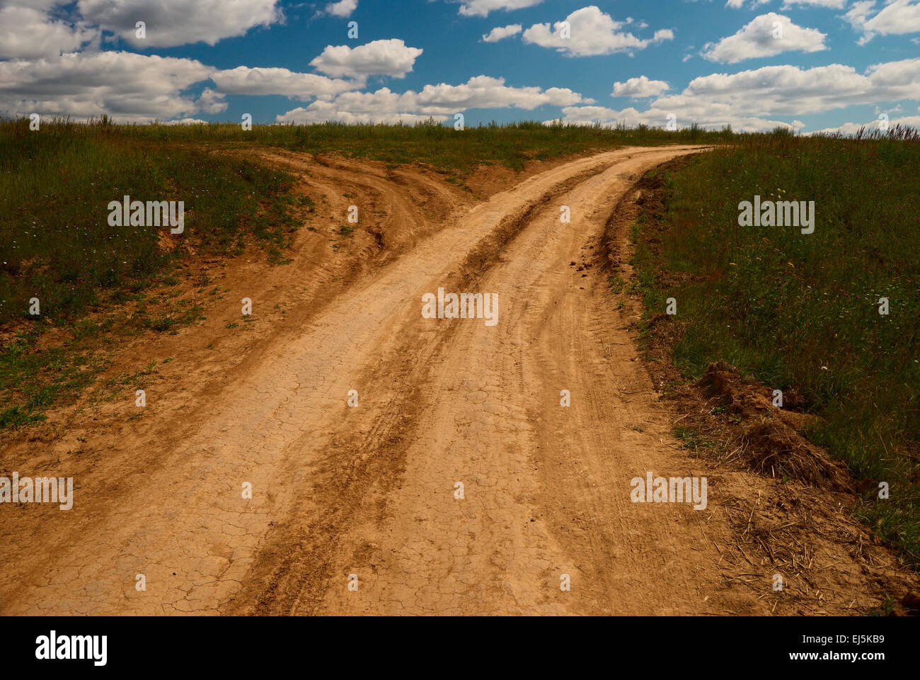 One country road divides into two roads Stock Photo - Alamy