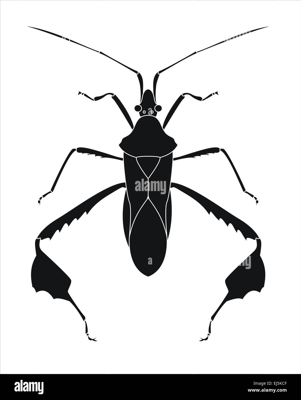 Bug outline icon hi-res stock photography and images - Alamy