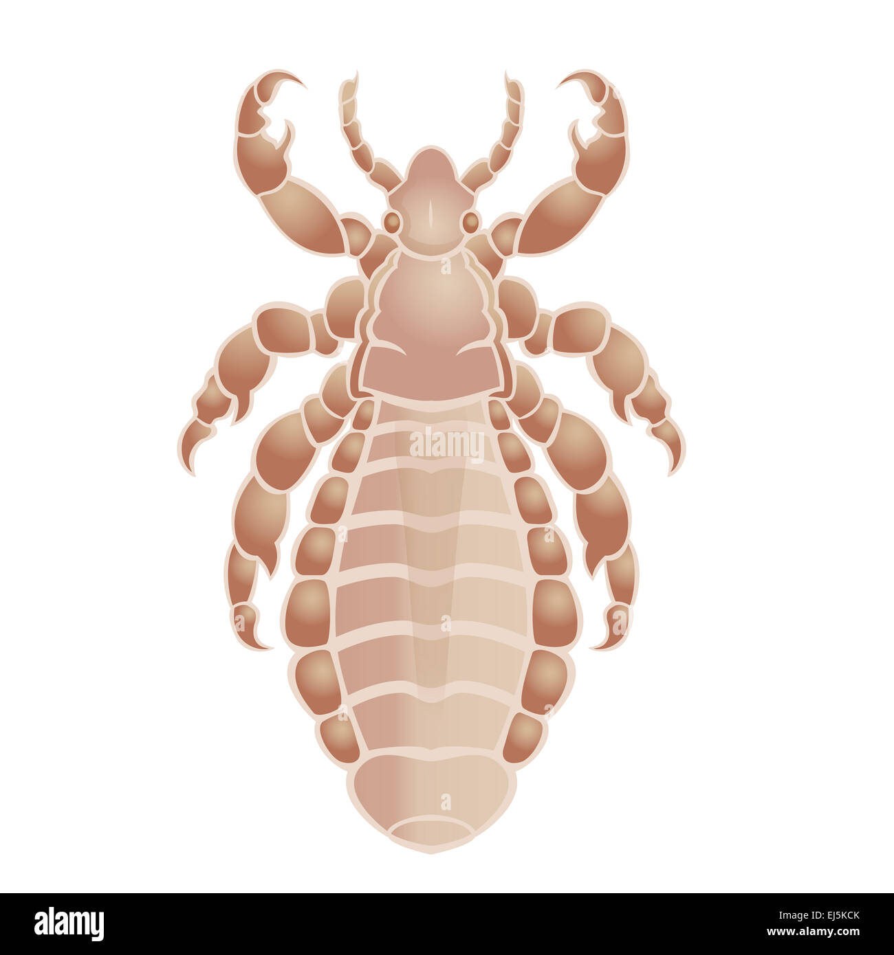 Vector image of simbol of big louse Stock Photo - Alamy