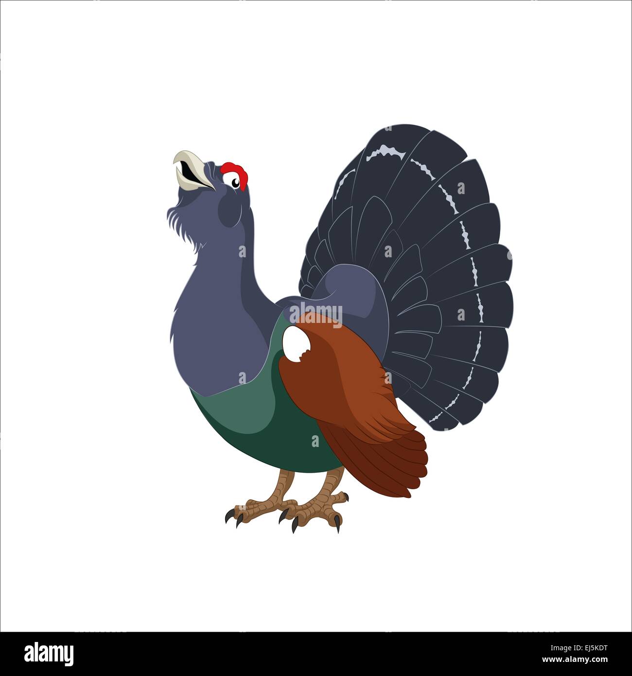 Vector image of cartoon funny wood grouse Stock Photo - Alamy