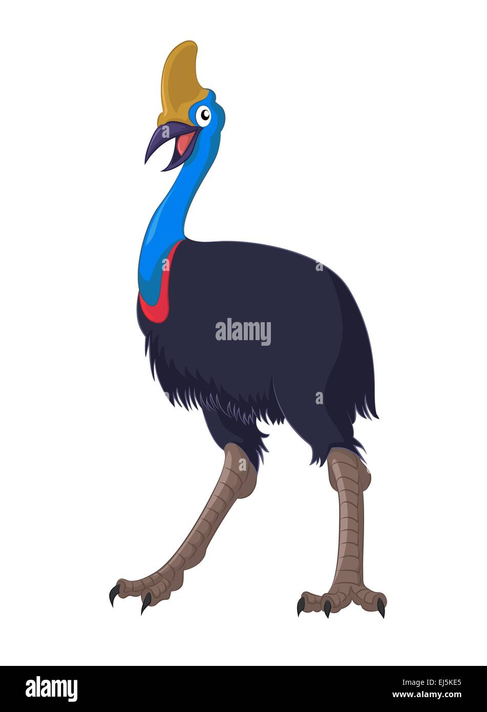 Vector image of cartoon australian ostrich cassowary Stock Photo - Alamy