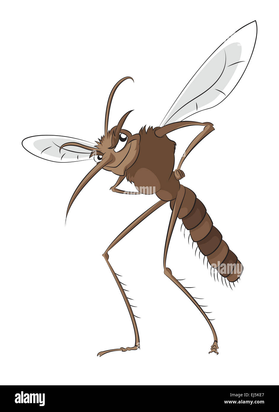 Vector image of big evil bad mosquito Stock Photo - Alamy