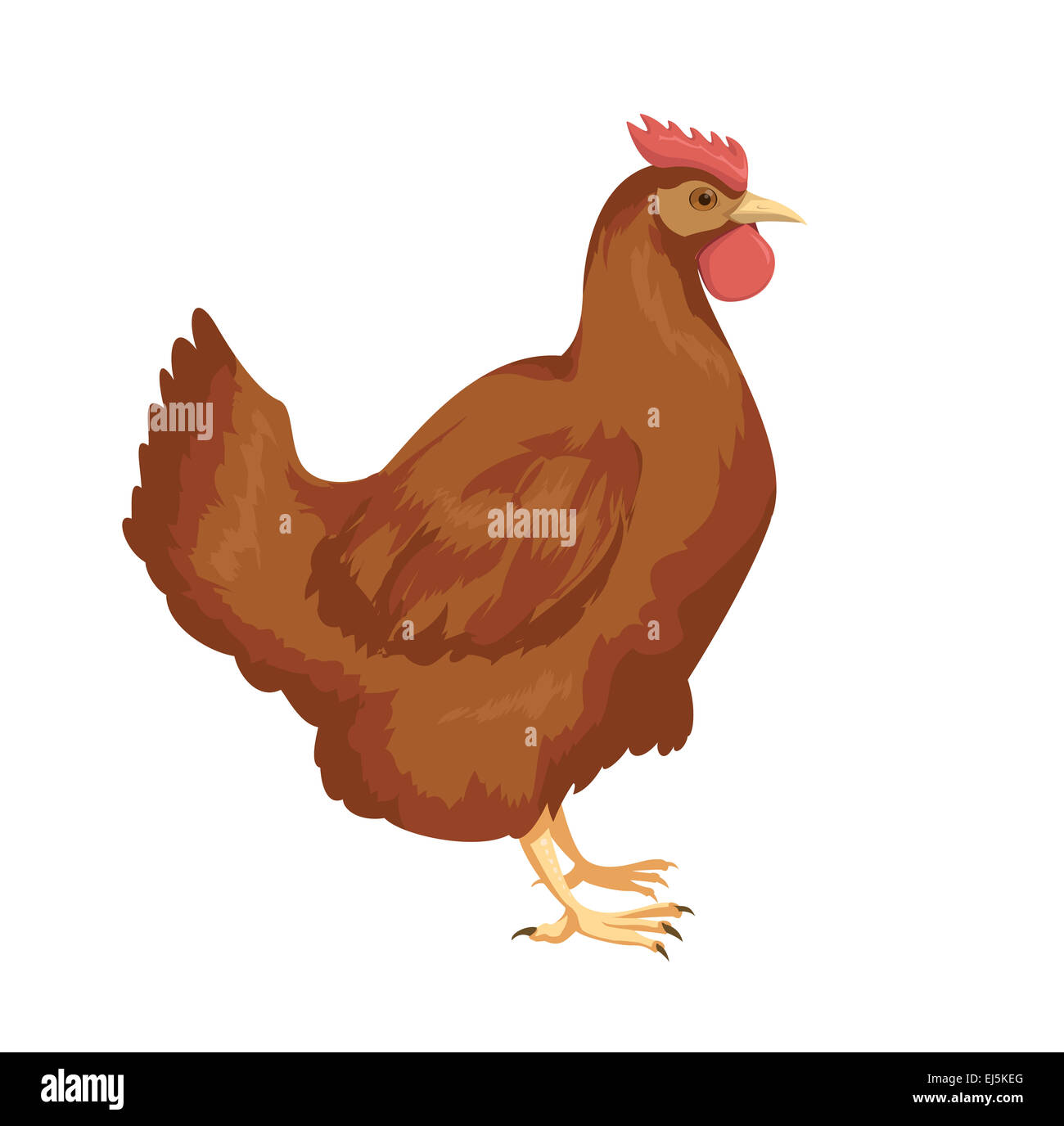 Vector of domestic animals Cut Out Stock Images & Pictures - Alamy