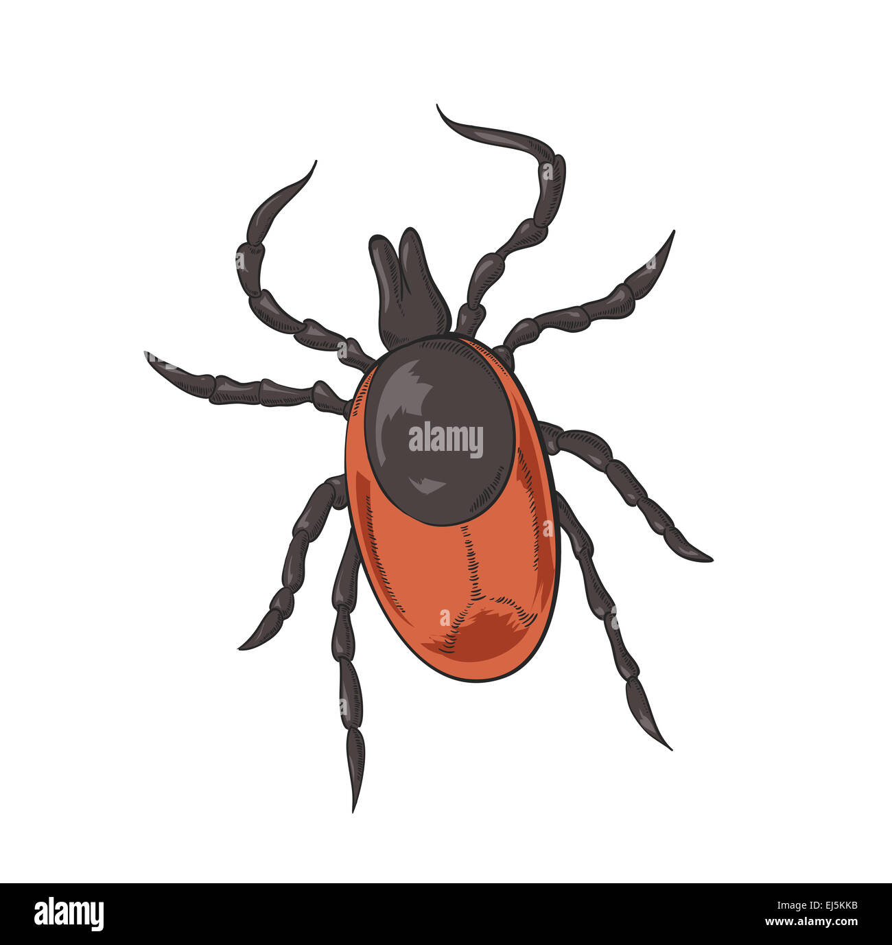 Vector image of big red shiny tick Stock Photo - Alamy