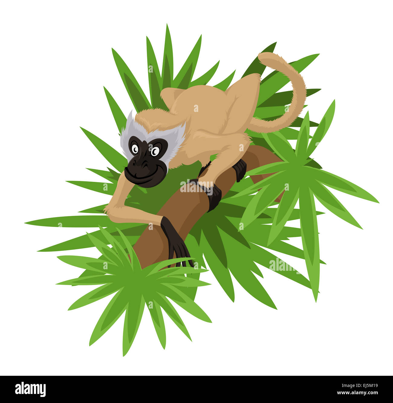 Vector image of cute cartoon smiling marmoset Stock Photo - Alamy