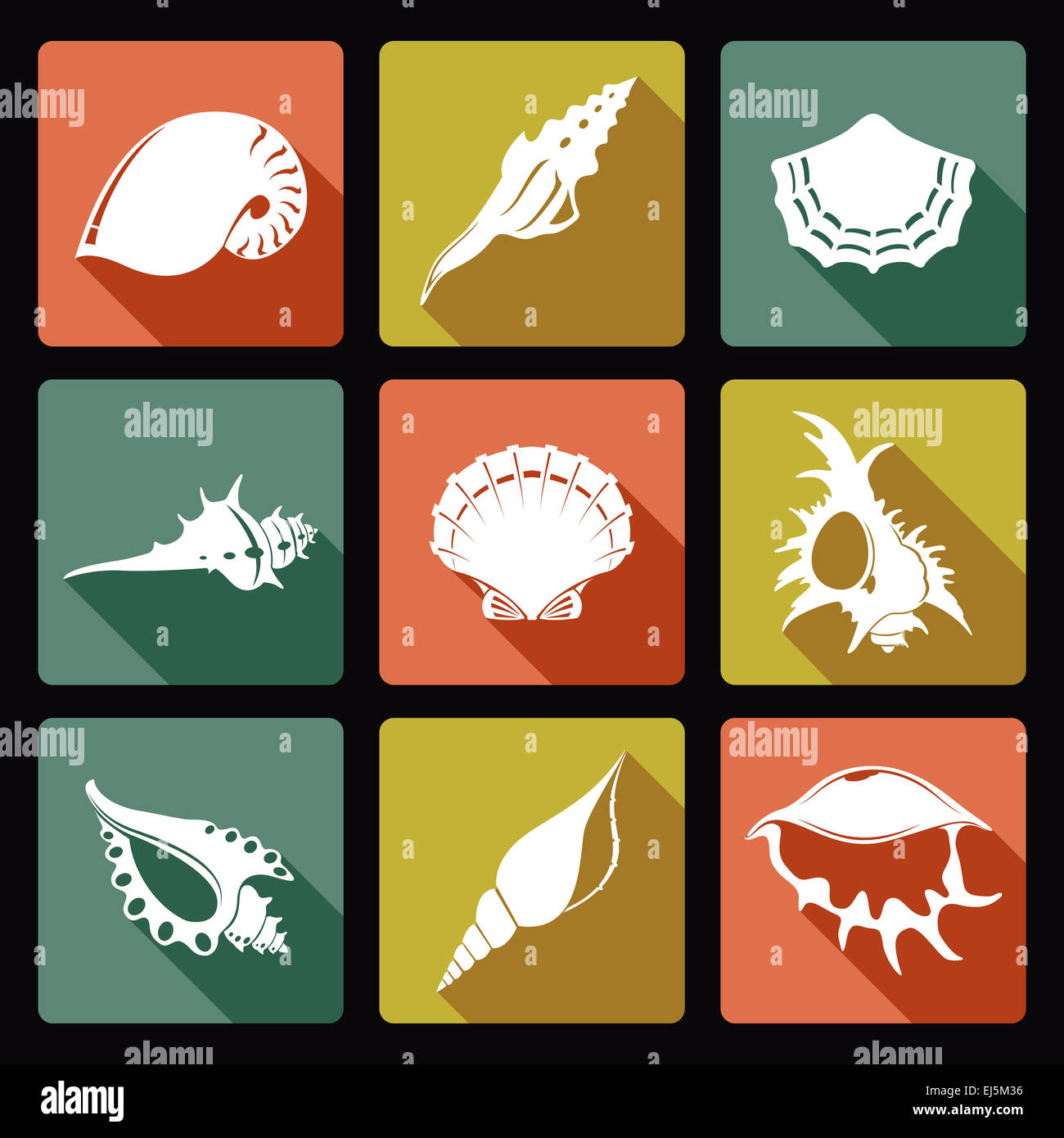 Vector image of collection of shell icons Stock Photo - Alamy