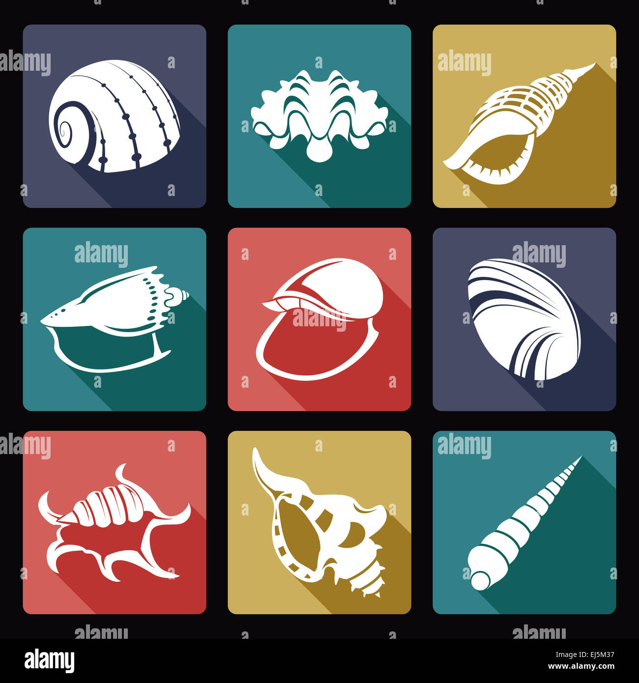 Vector image of collection of shell icons Stock Photo - Alamy