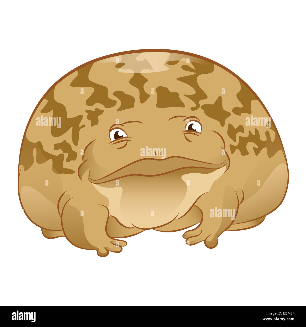 Cute cartoon frog sitting hi-res stock photography and images - Alamy