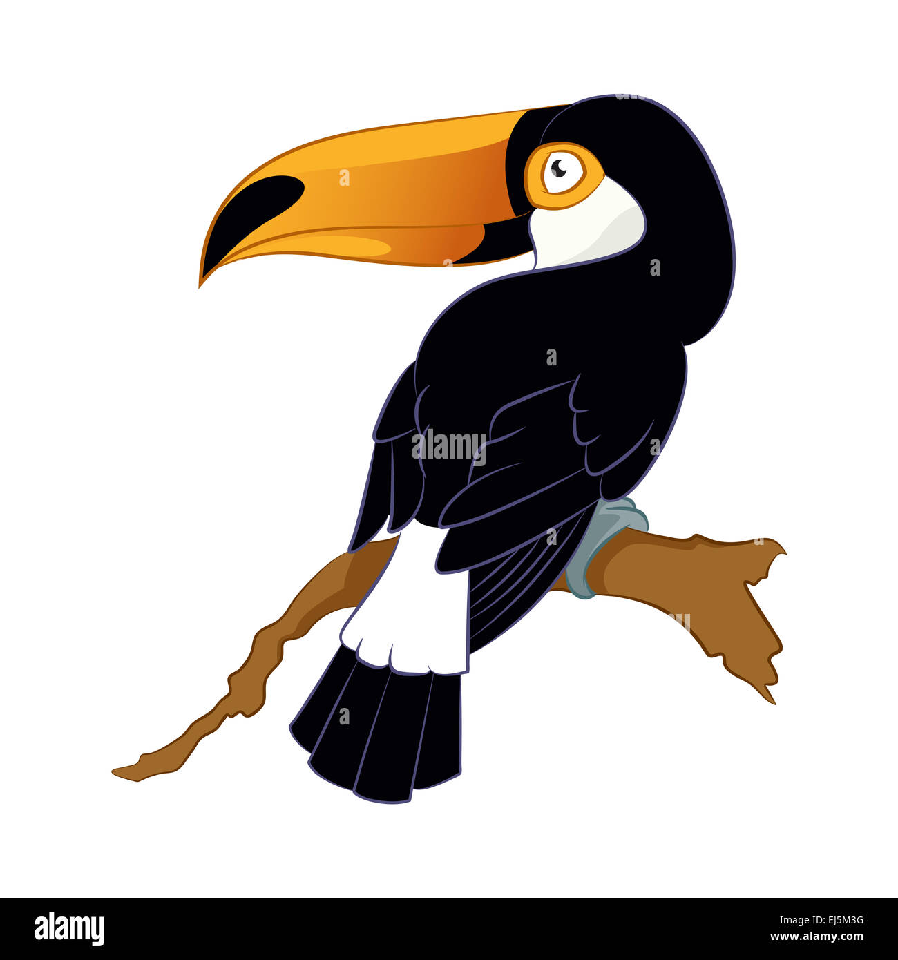 Cartoon toucan Cut Out Stock Images & Pictures - Alamy