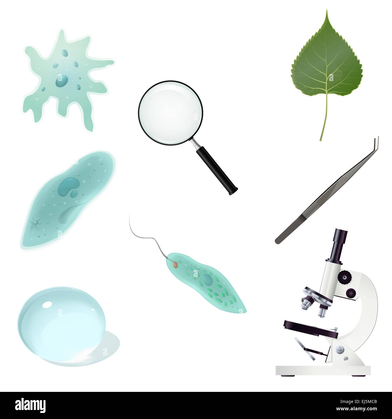 Vector image of color great biology icons Stock Photo - Alamy