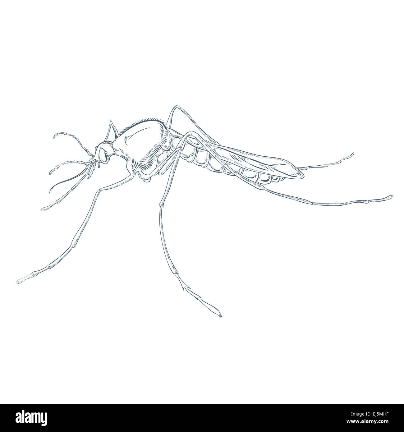 Drawind Cut Out Stock Images & Pictures - Alamy