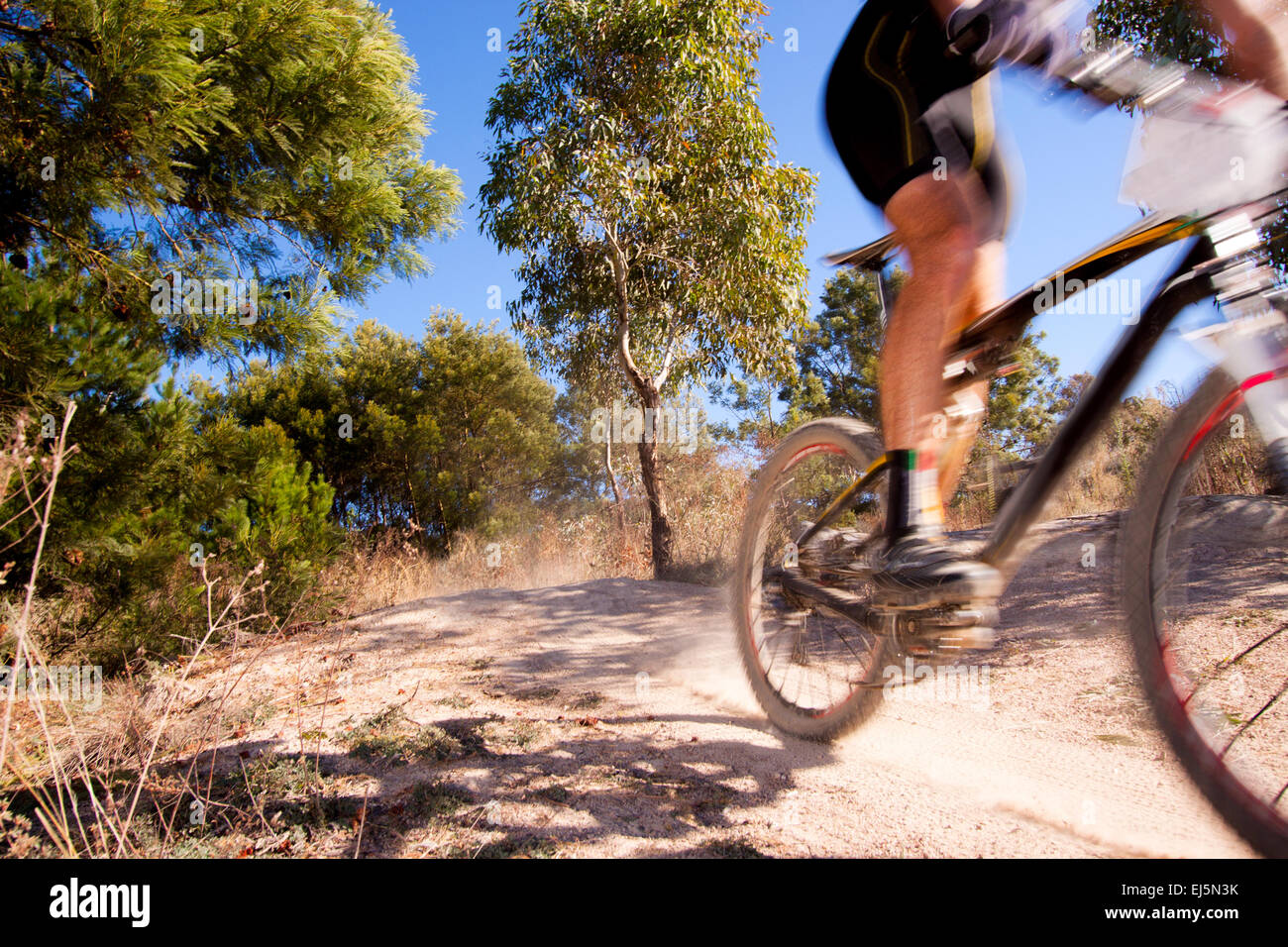 Mountain bike racer zooming past, with motion blur Stock Photo - Alamy
