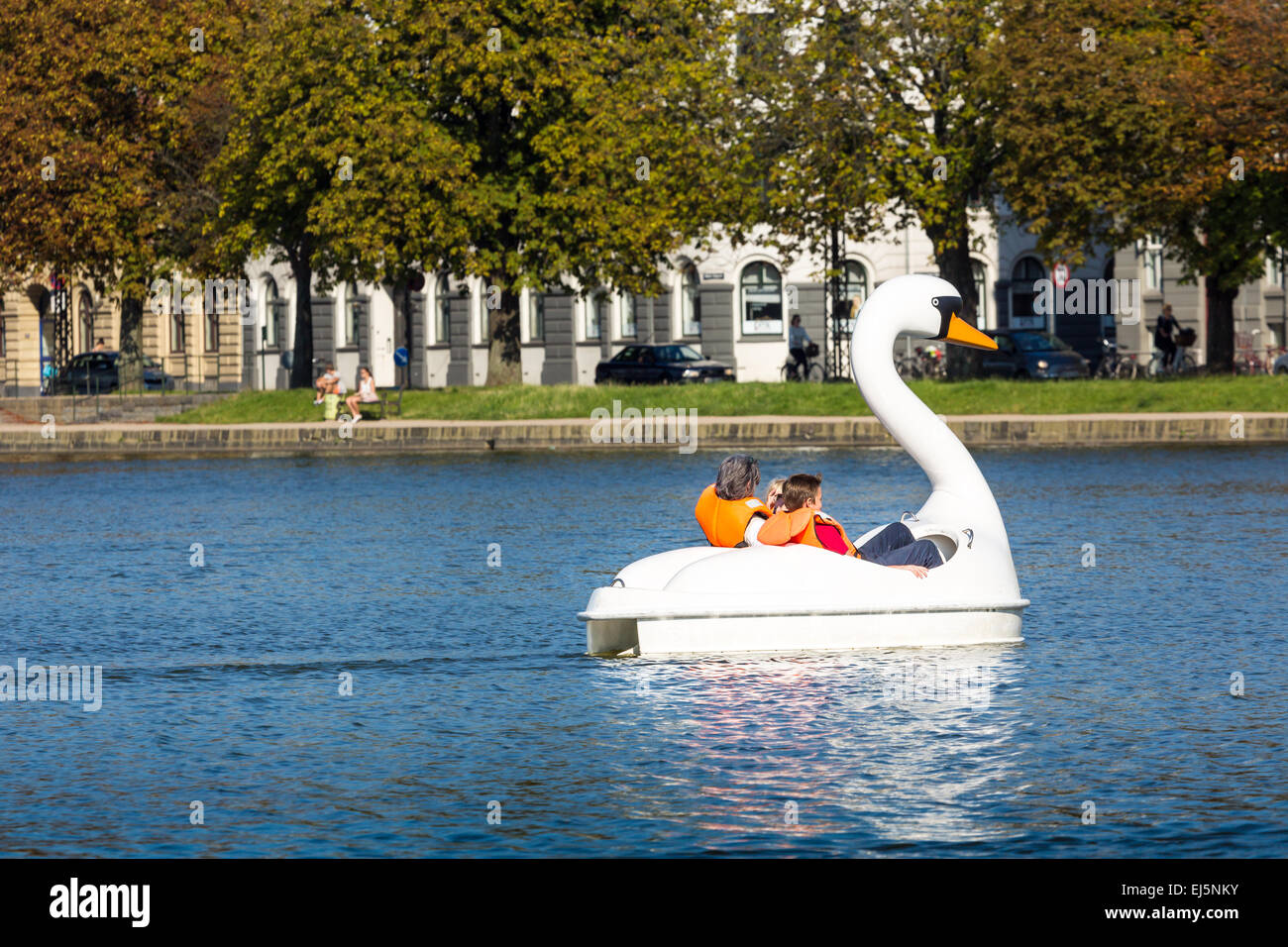 White swan in Sortedams Soe in Copenhagen, Denmark Stock Photo - Alamy