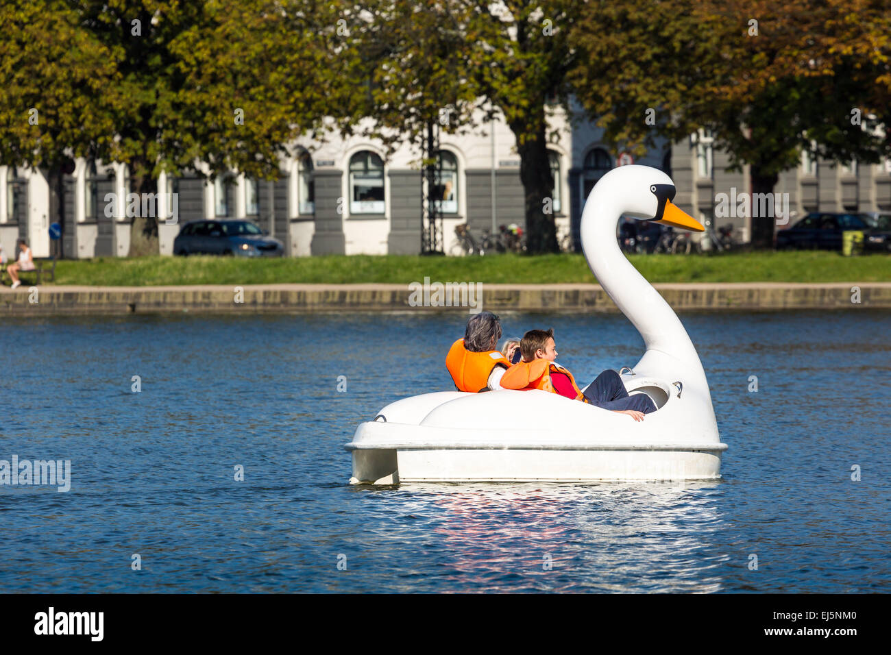White swan in Sortedams Soe in Copenhagen, Denmark Stock Photo - Alamy