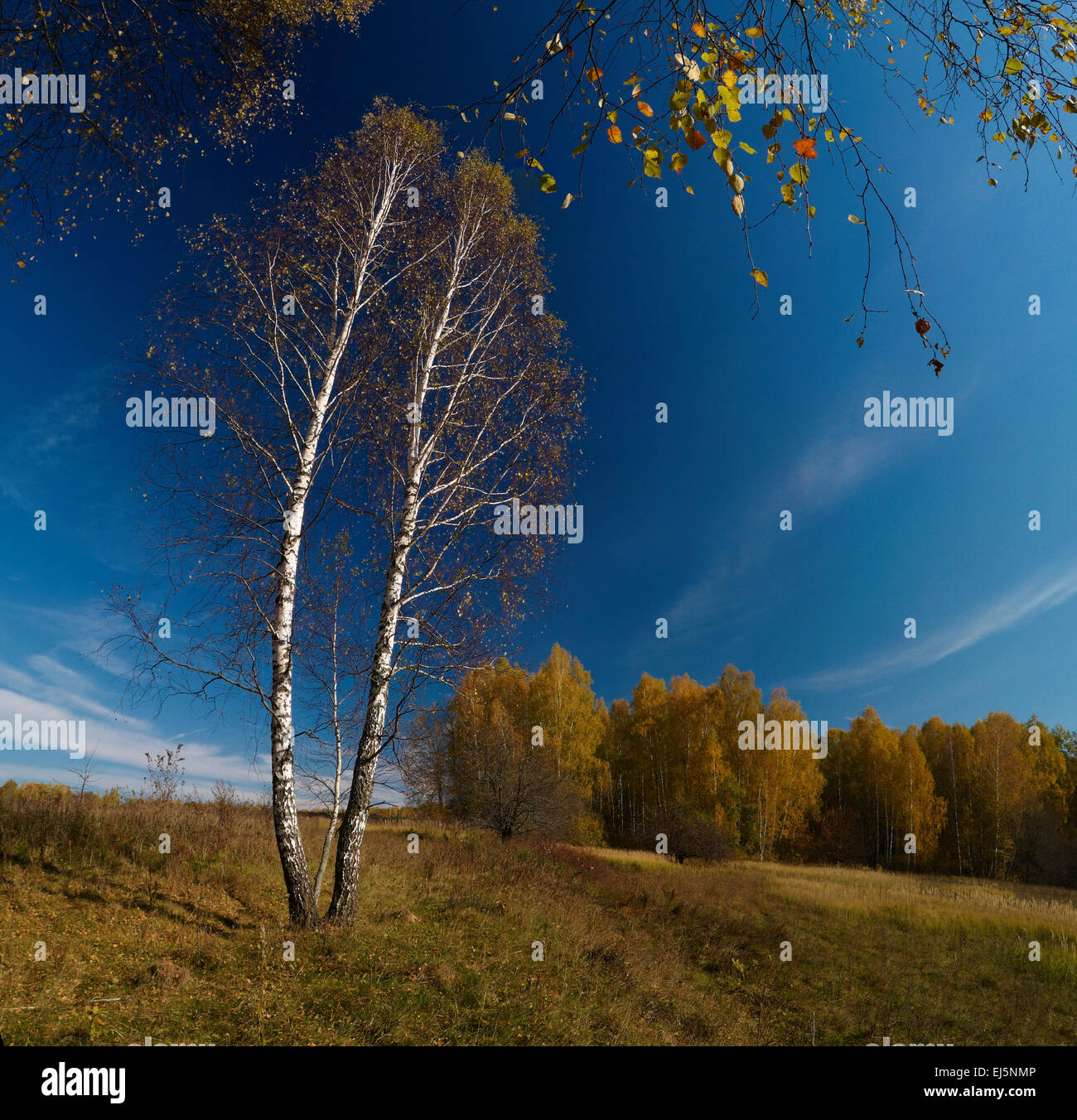 Stitched landscape hi-res stock photography and images - Alamy