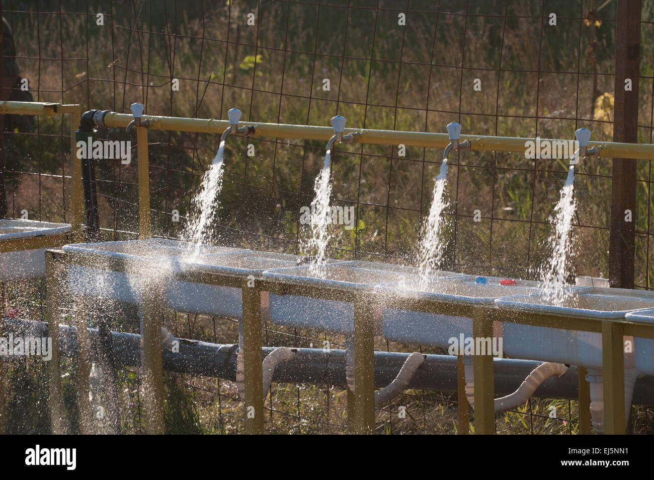 Cold fresh water runs into camping washbasins Stock Photo - Alamy Cold fresh water runs into camping washbasins Stock Photo - Alamy
